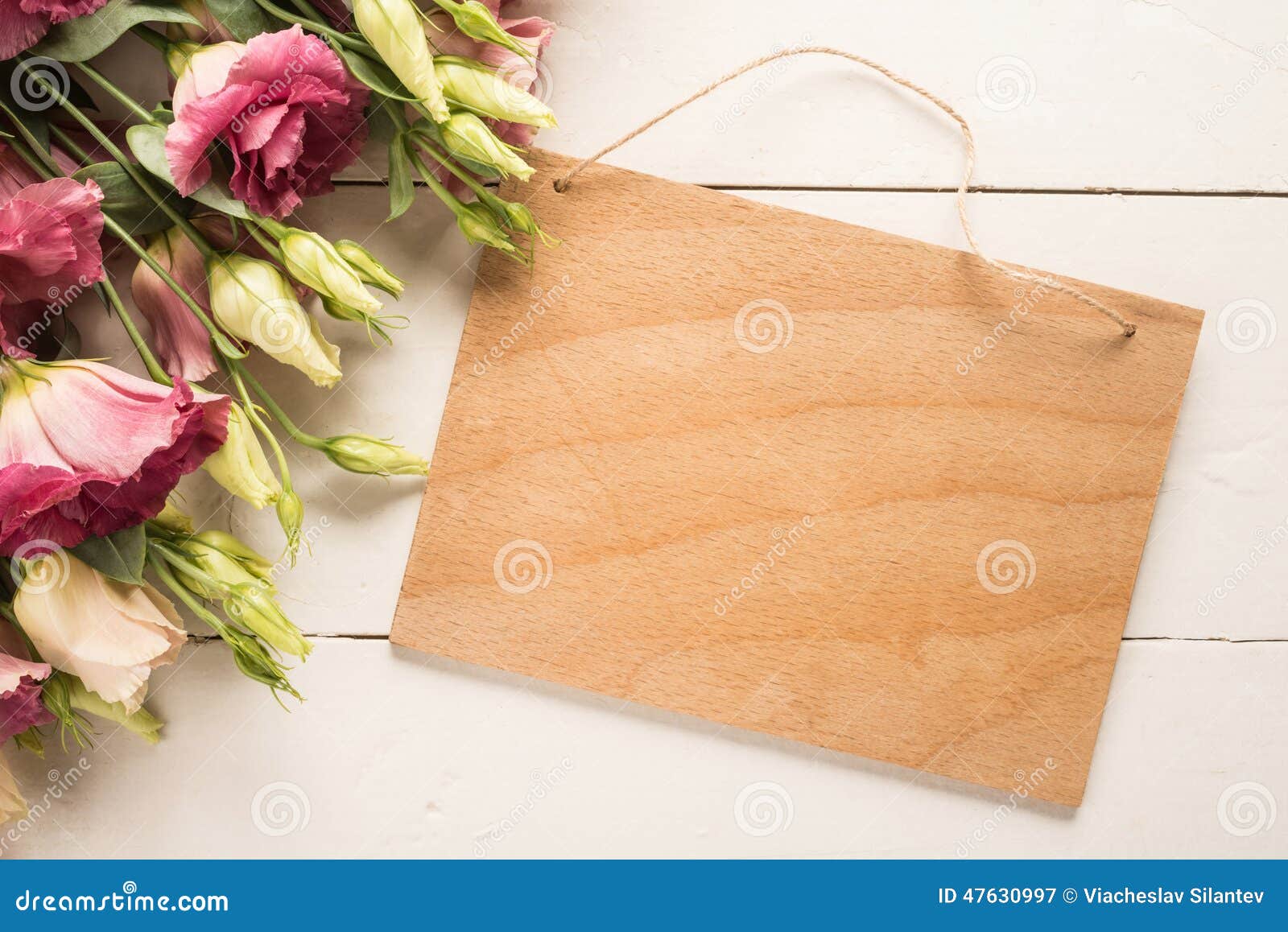 Flowers with signboard stock image. Image of backdrop - 47630997