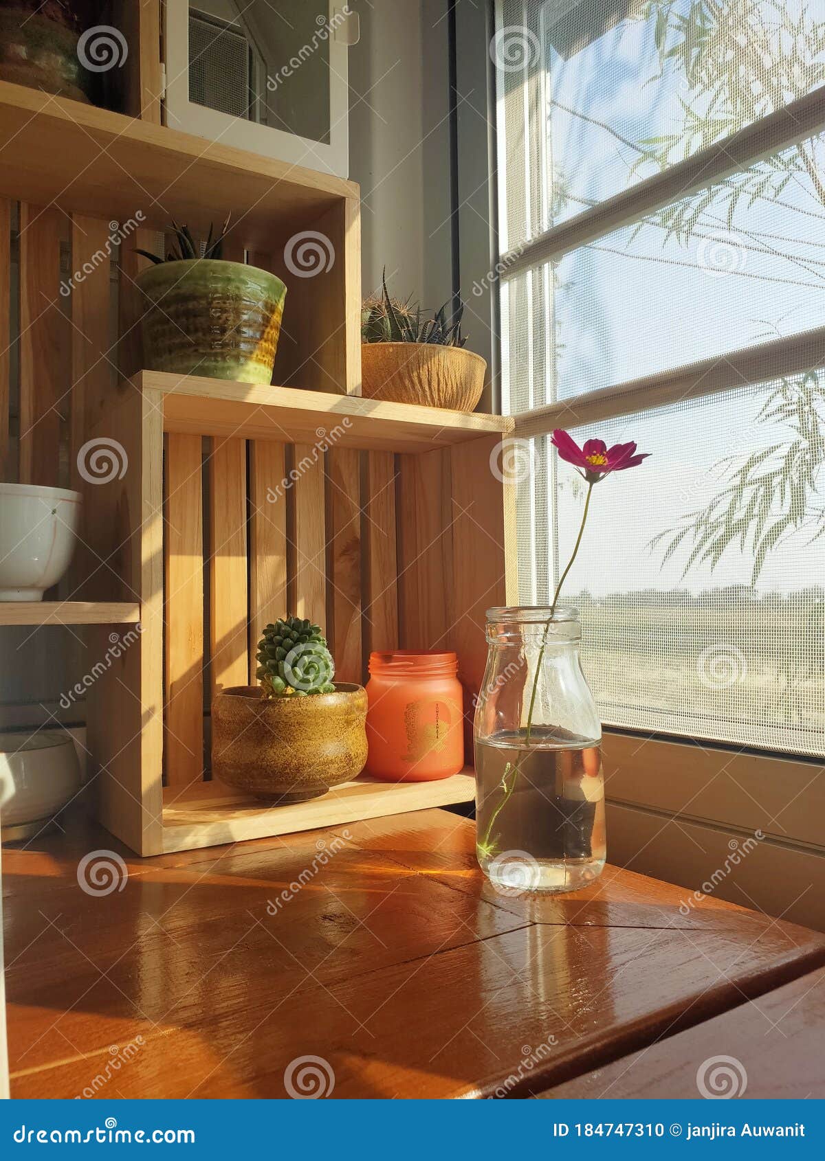 Flowers in a small corner stock photo. Image of home - 184747310