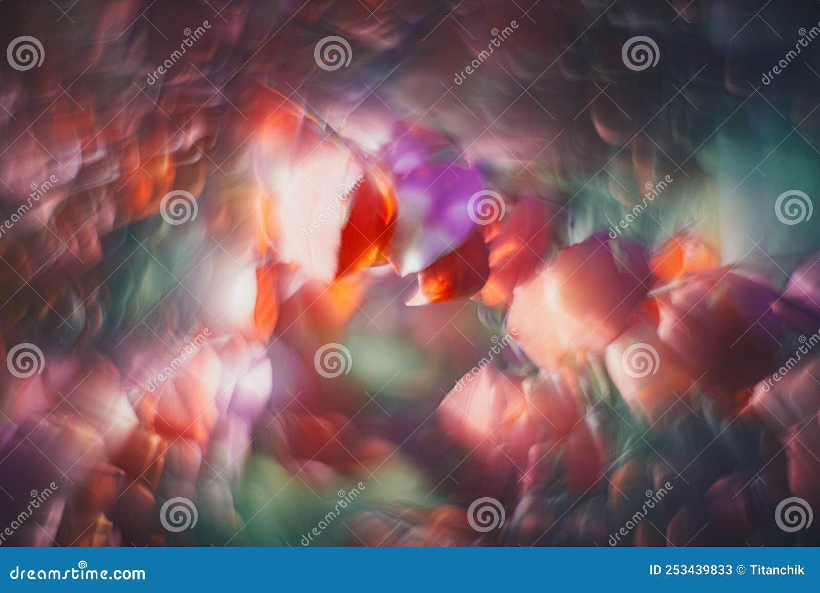 Flowers- Soft Focus Effect. Depth of Field Stock Image - Image of ...