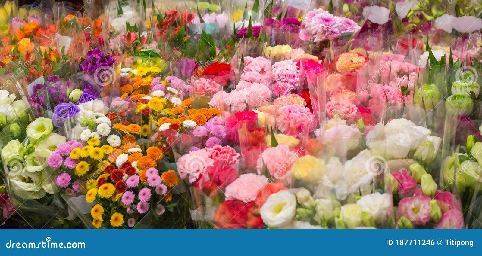 Flowers Sold in a Variety of Colors Stock Photo - Image of colors, blue ...