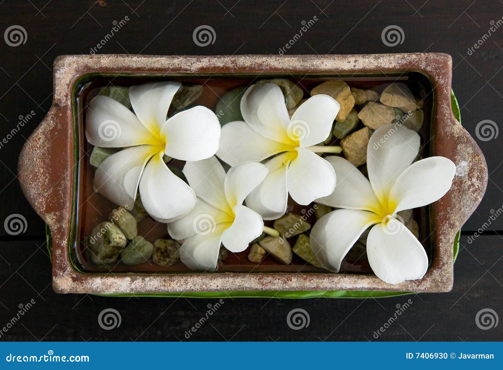 Flowers at spa salon stock photo. Image of life, nature - 7406930