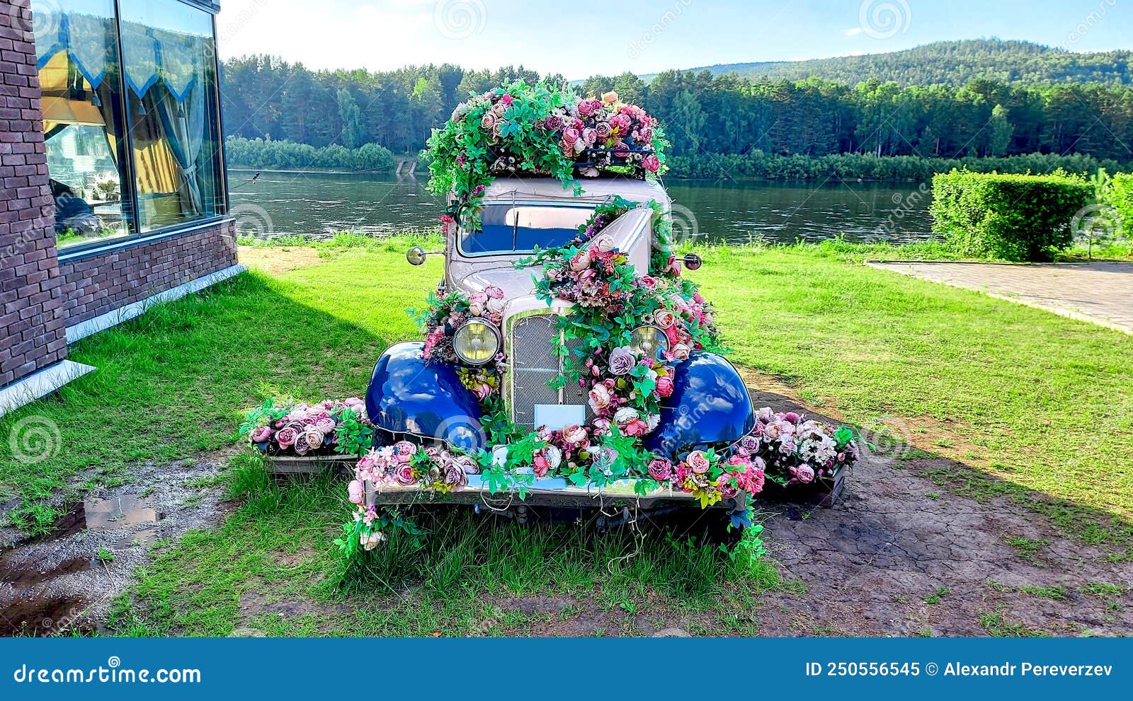 Flowers Sprout from the Interior of an Old Retro Car Stock Image ...