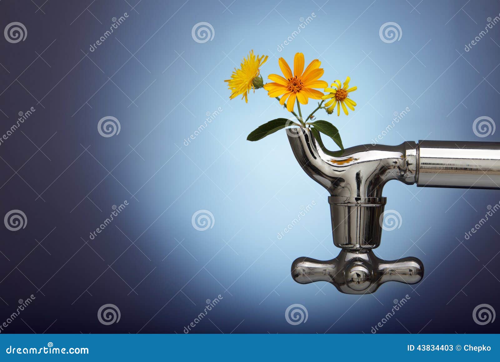Flowers Sprouted in the Metal Tap Stock Image - Image of hope ...
