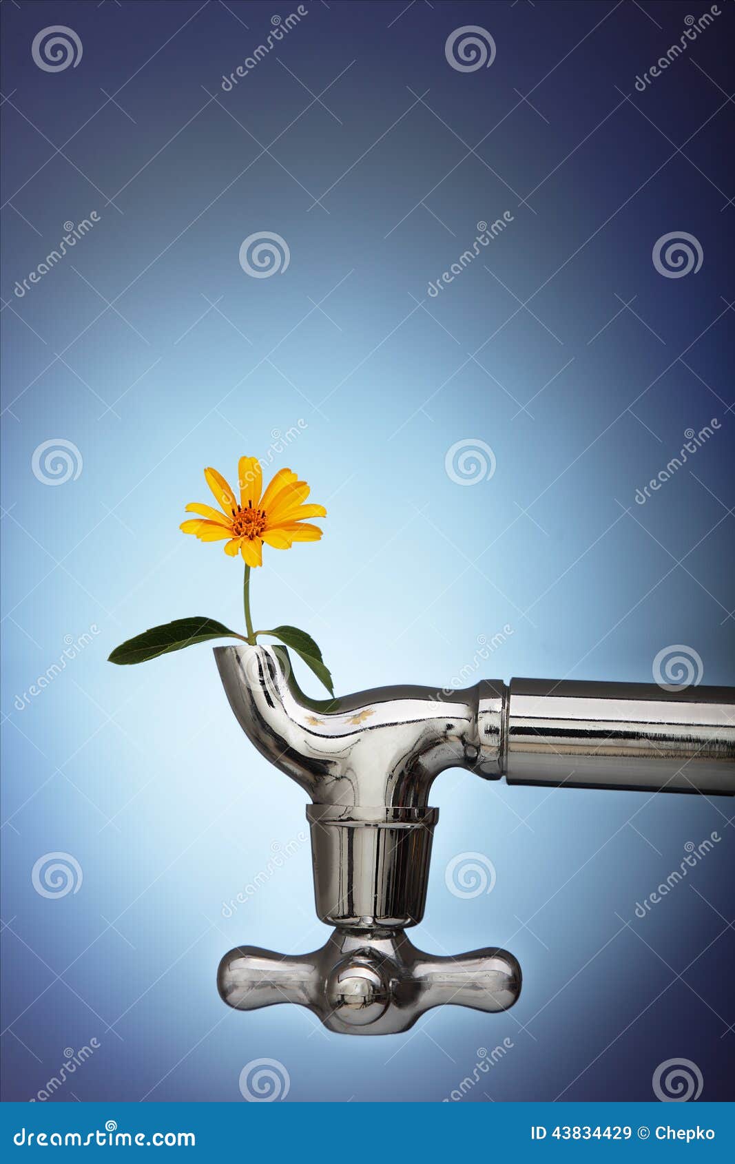 Flowers Sprouted in the Metal Tap Stock Image - Image of light ...