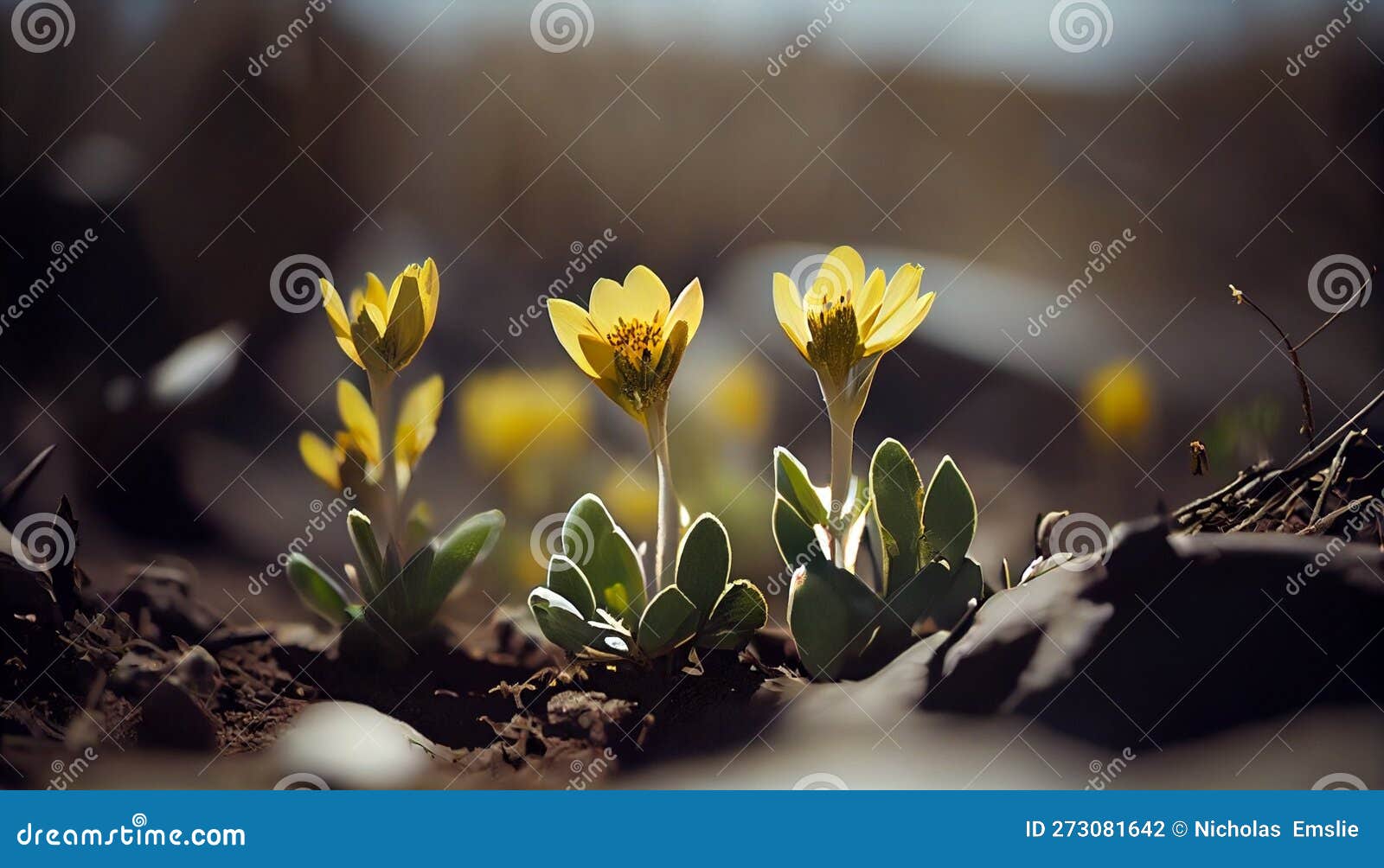 Beautiful Spring Flowers Sprouting in Nature Stock Illustration ...
