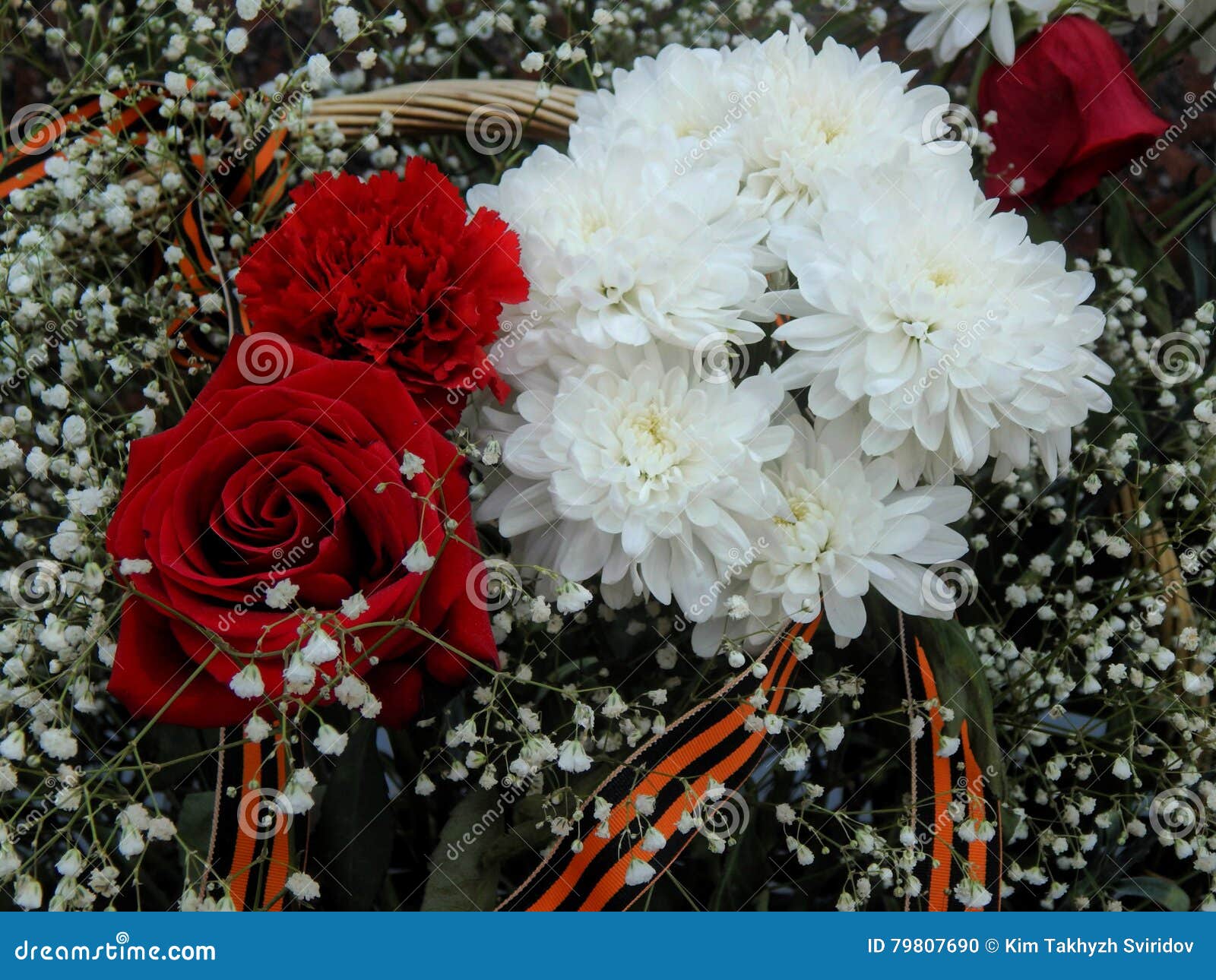 Flowers with St. George Ribbon Stock Photo - Image of george, freshness ...