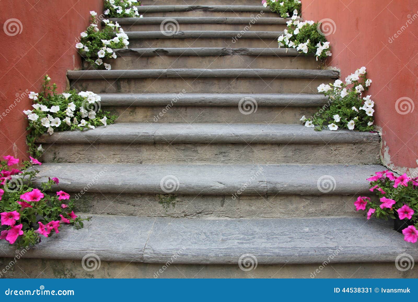 Flowers on stairs stock image. Image of design, staircase - 44538331