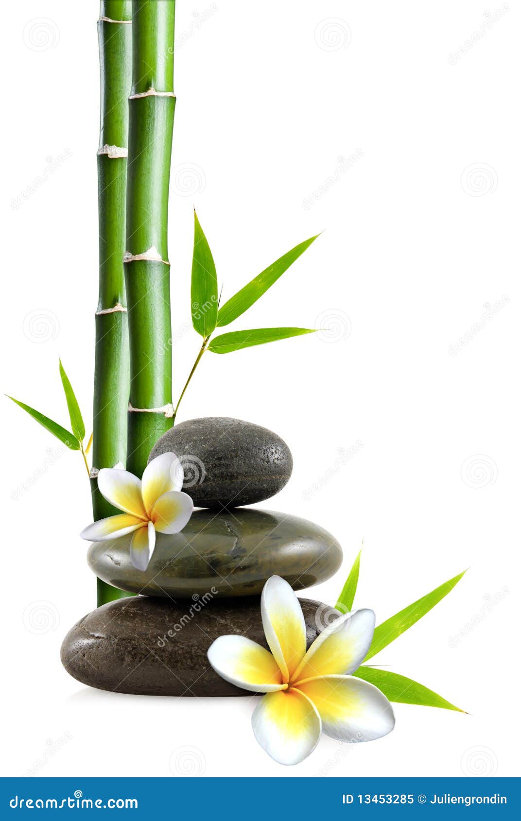 Flowers and stones stock image. Image of stems, black - 13453285