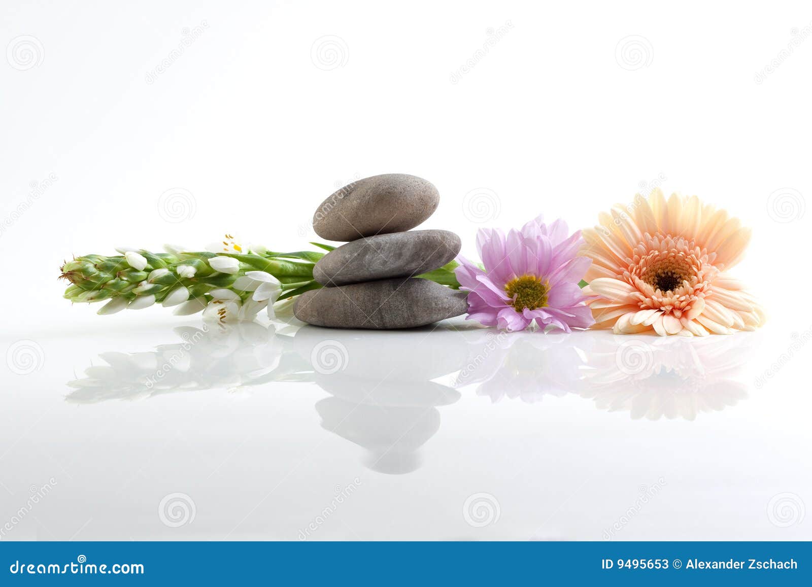 Flowers and Stones - Spa Theme Stock Image - Image of natural, mental ...