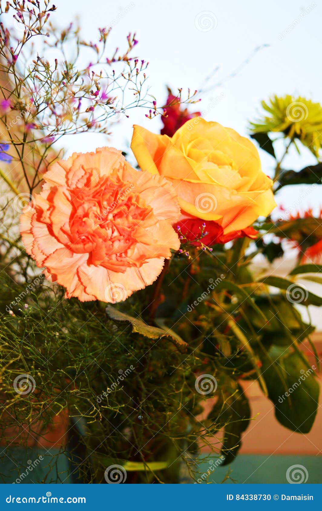 Flowers, Symbol of Appreciation Stock Photo - Image of garden, flowers ...