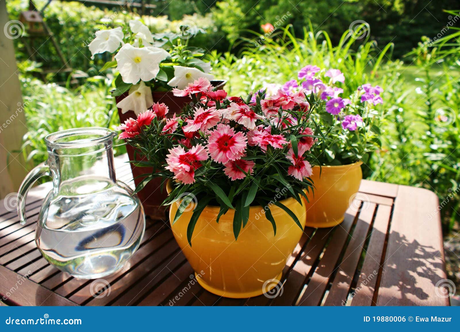 Flowers on the table stock photo. Image of flower, field - 19880006