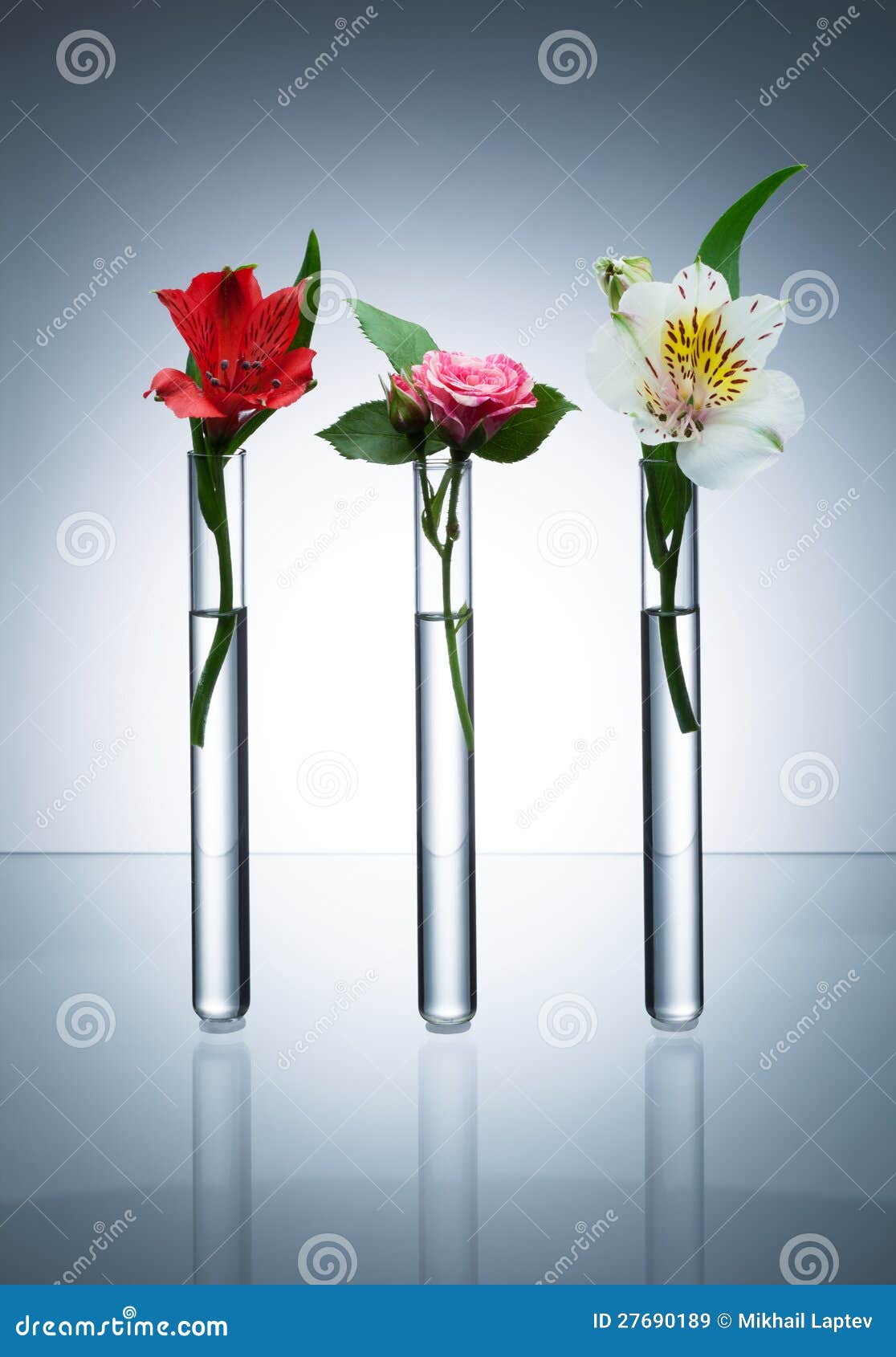 Line Test Tubes Flowers Stock Photos - Free & Royalty-Free Stock Photos ...
