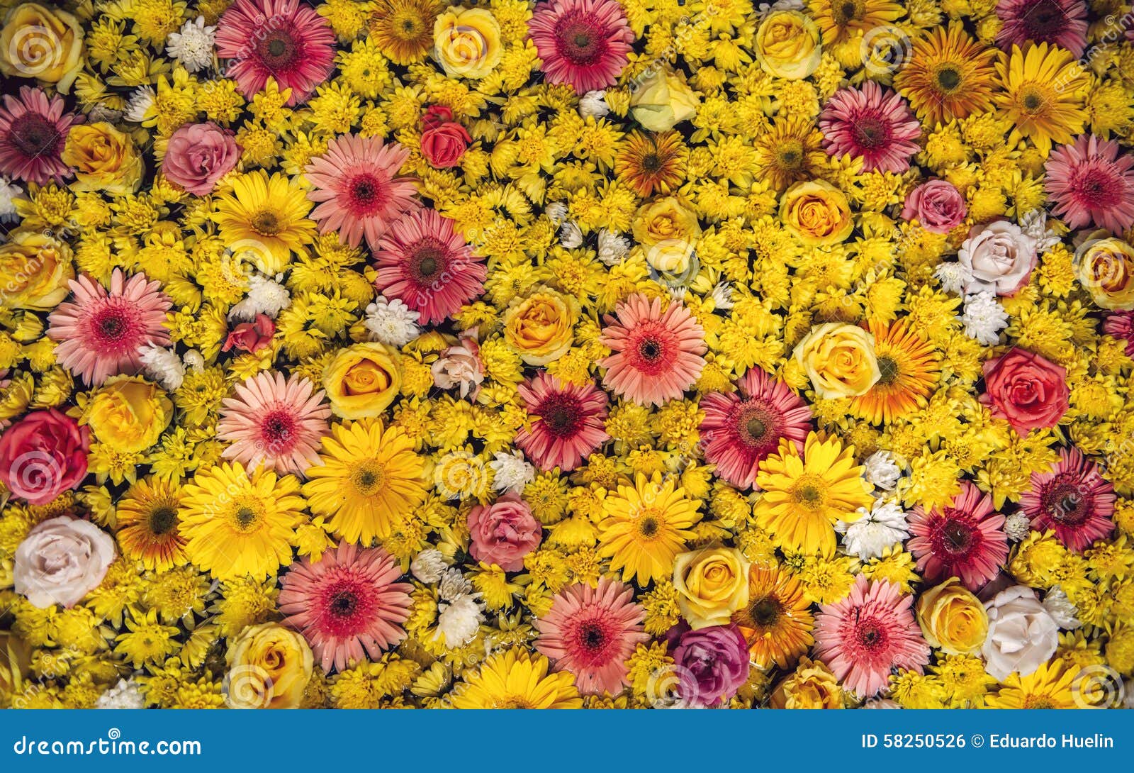 Flowers Texture Background Stock Photo | CartoonDealer.com #58250526