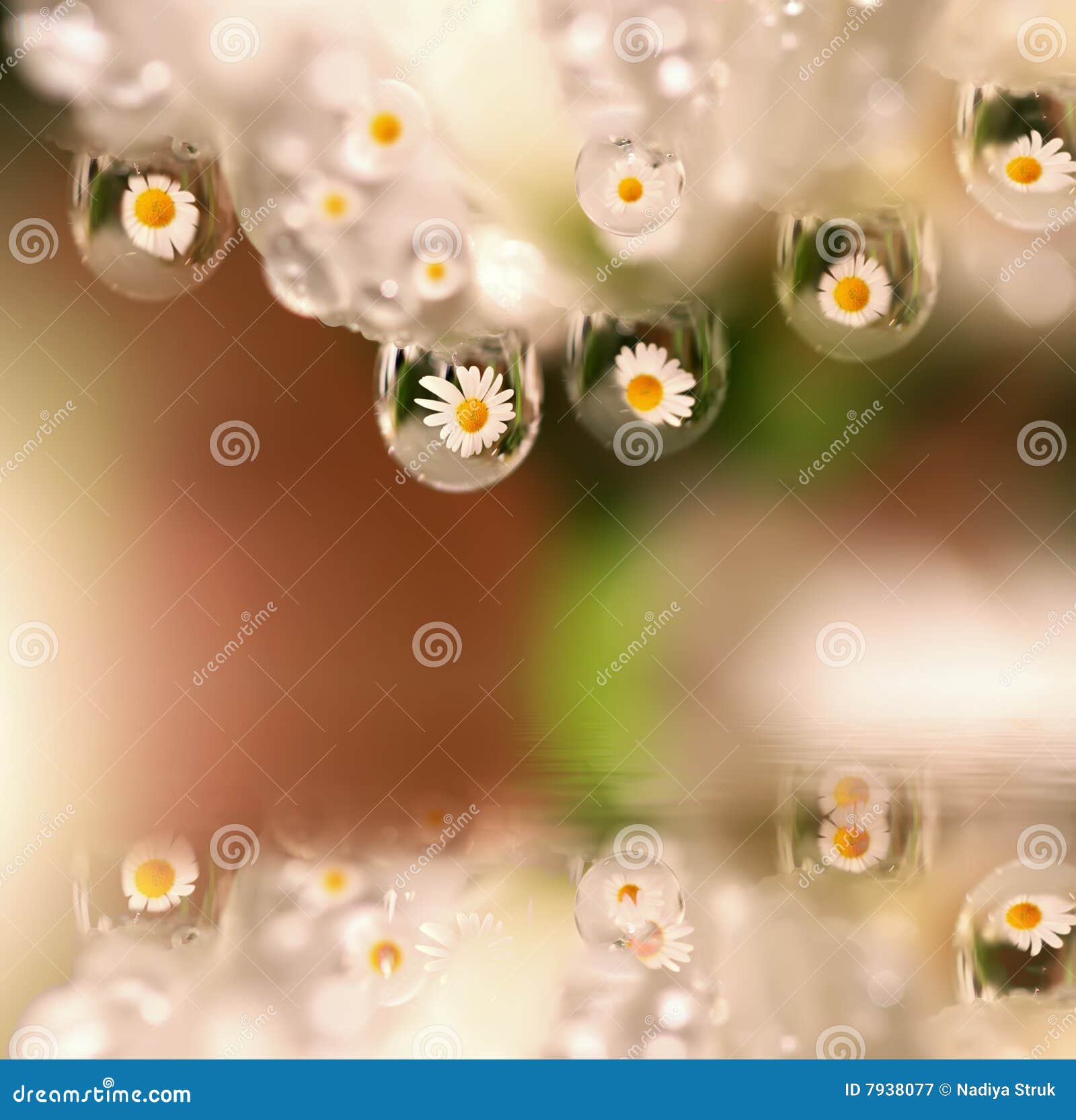 Flowers and Their Reflections Stock Image - Image of nature, yellow ...