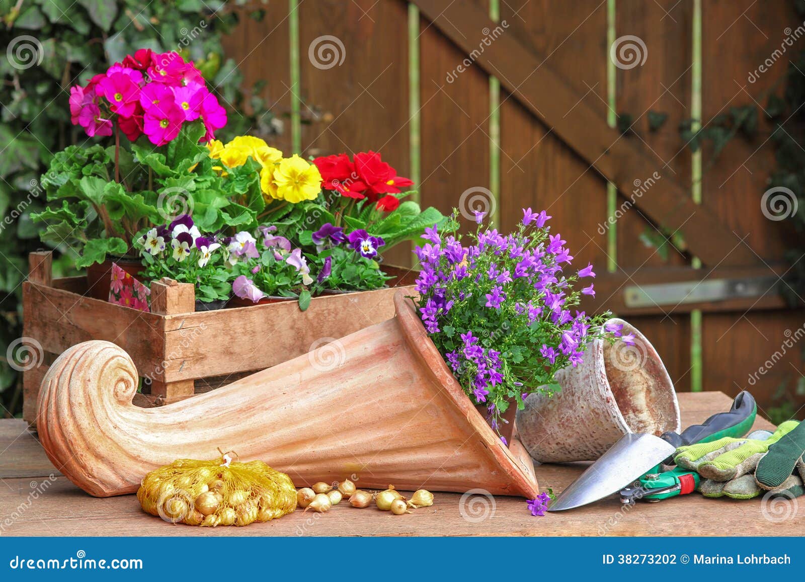 Flowers To Plant, Terracotta Cornucopia Stock Photo - Image of growth ...