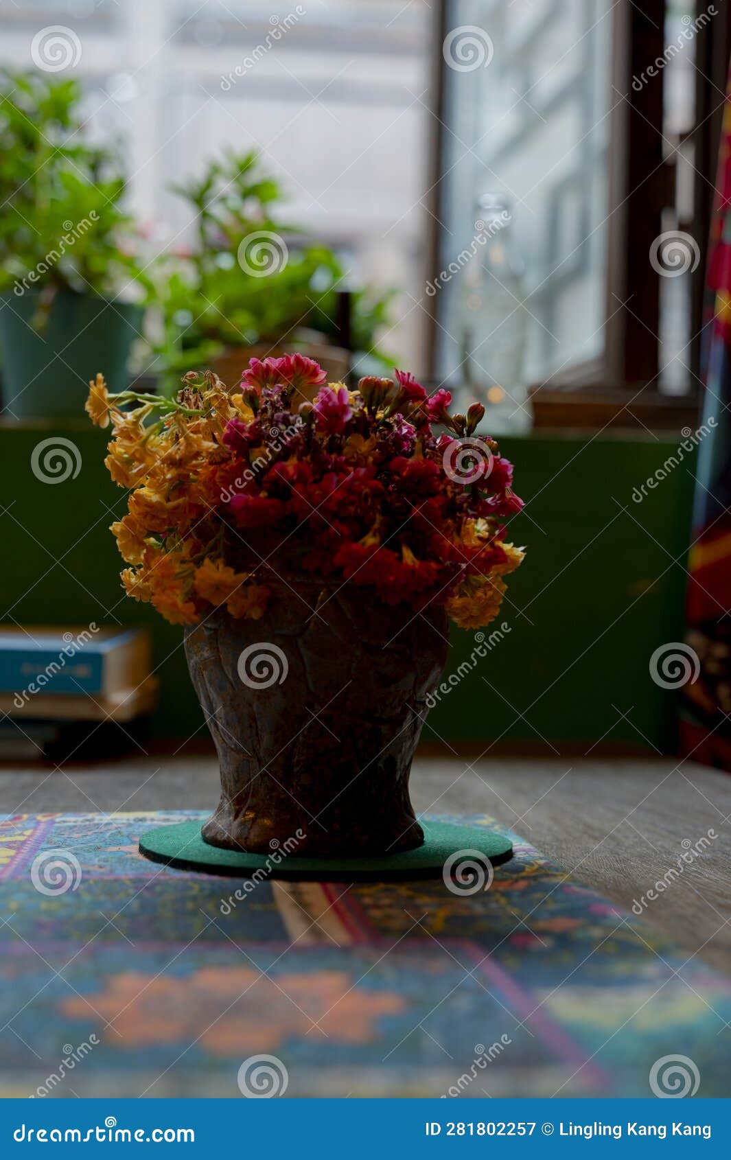The Flowers that are about To Wither. Stock Image - Image of spring ...