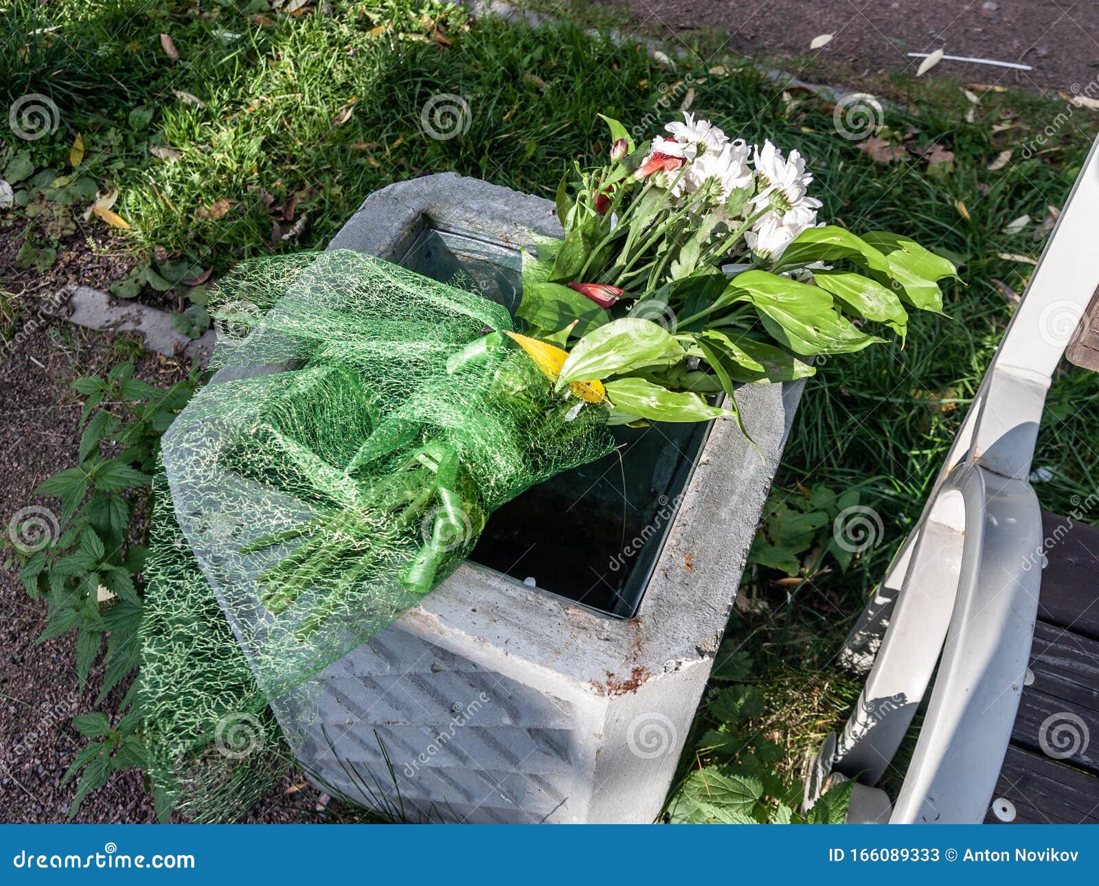 Flowers in the trash stock image. Image of garbage, discard - 166089333