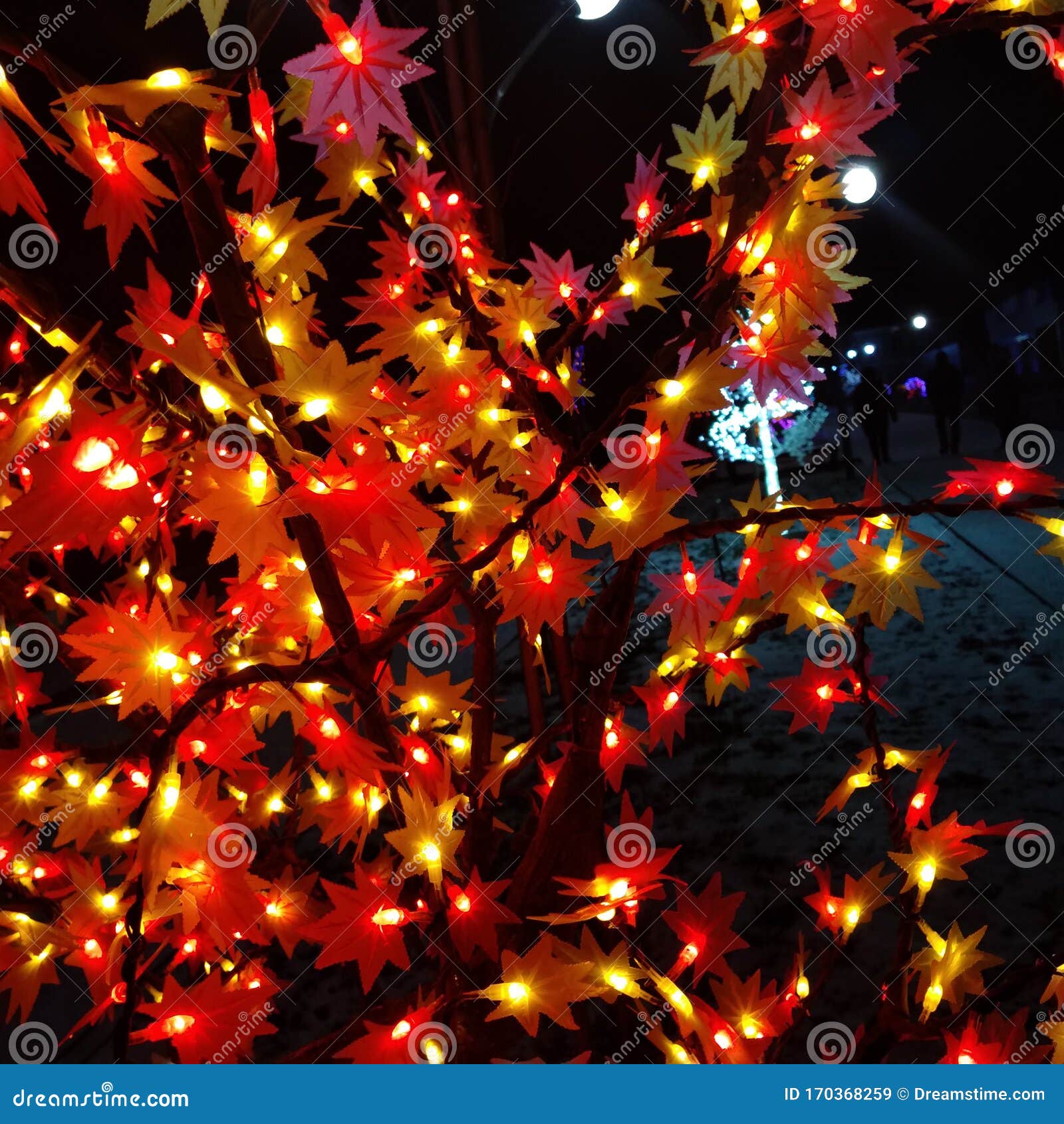 Flowers on a tree hallowed stock image. Image of flowers - 170368259