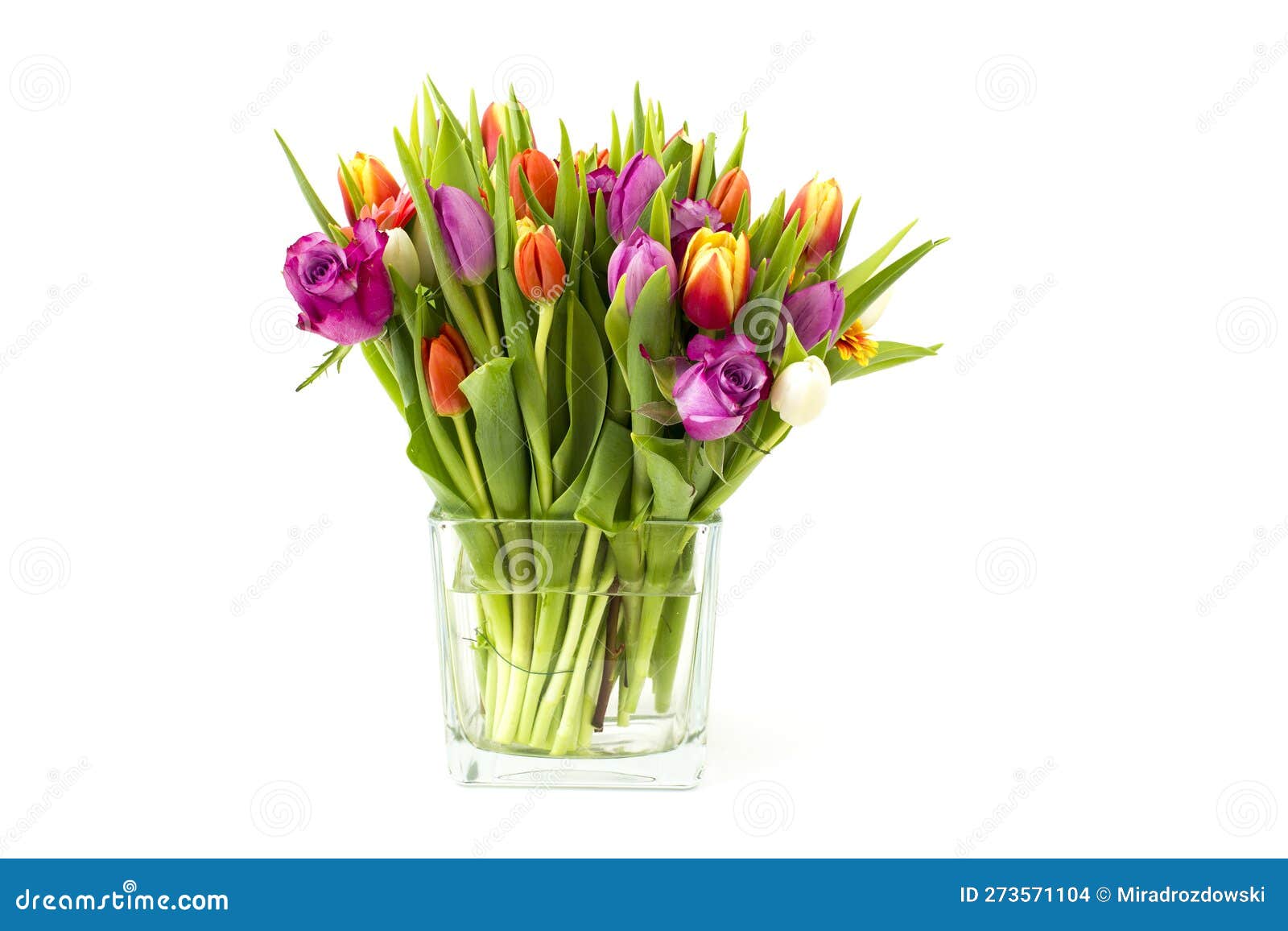 Flowers in a vase on white stock photo. Image of beautiful - 273571104