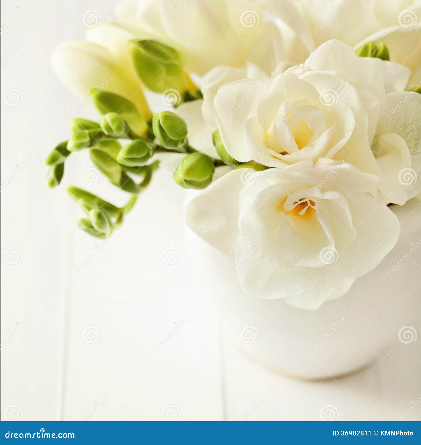 Flowers in a vase stock image. Image of bouquet, place - 36902811