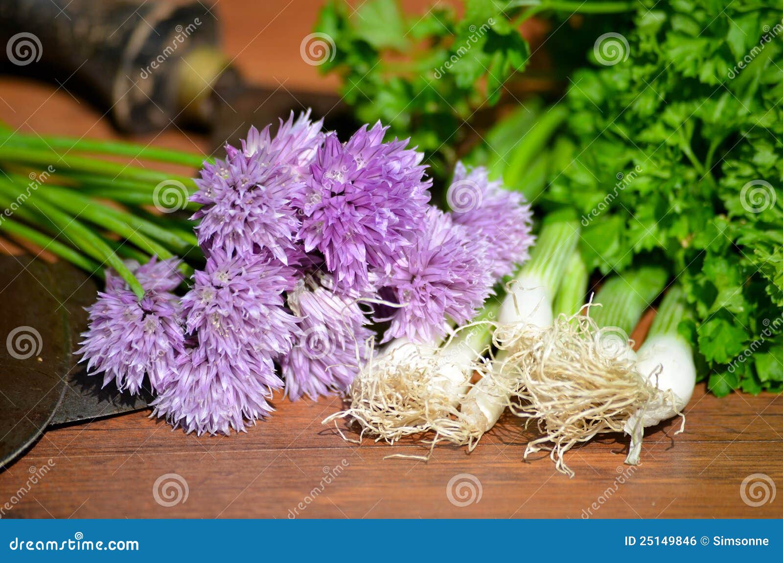 Flowers and vegetables stock photo. Image of vegetation - 25149846