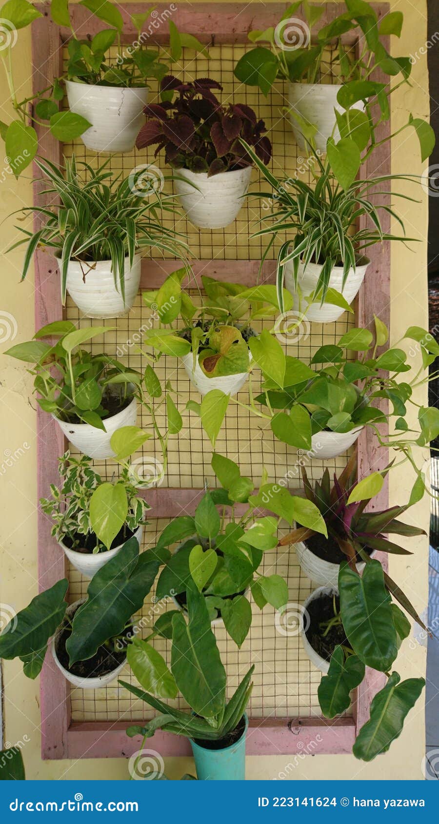 Flowers Vertical Botanical Garden Stock Photo - Image of gardening ...