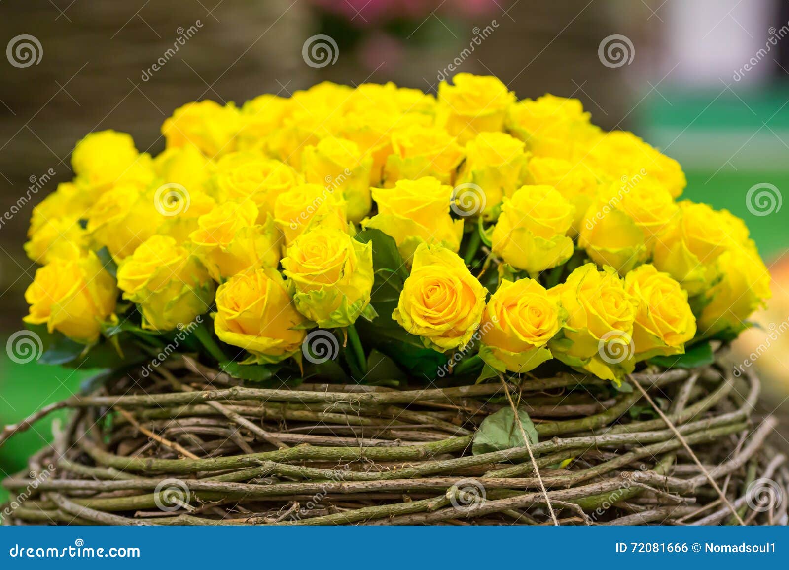 Flowers in vine stock photo. Image of blooming, flower - 72081666