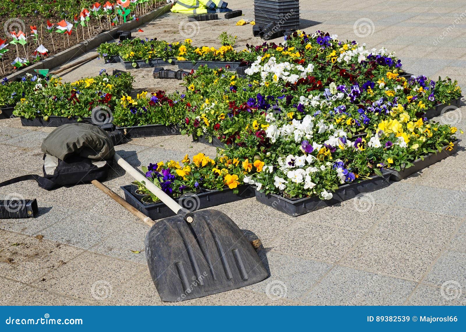 Flowers Waiting for Planting Stock Image - Image of nature, gardening ...