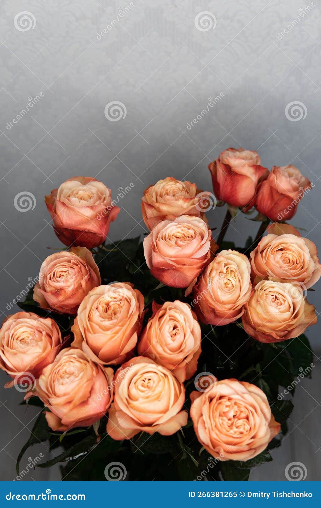 Flowers Wall Background with Amazing Roses Rose Stock Image - Image of ...