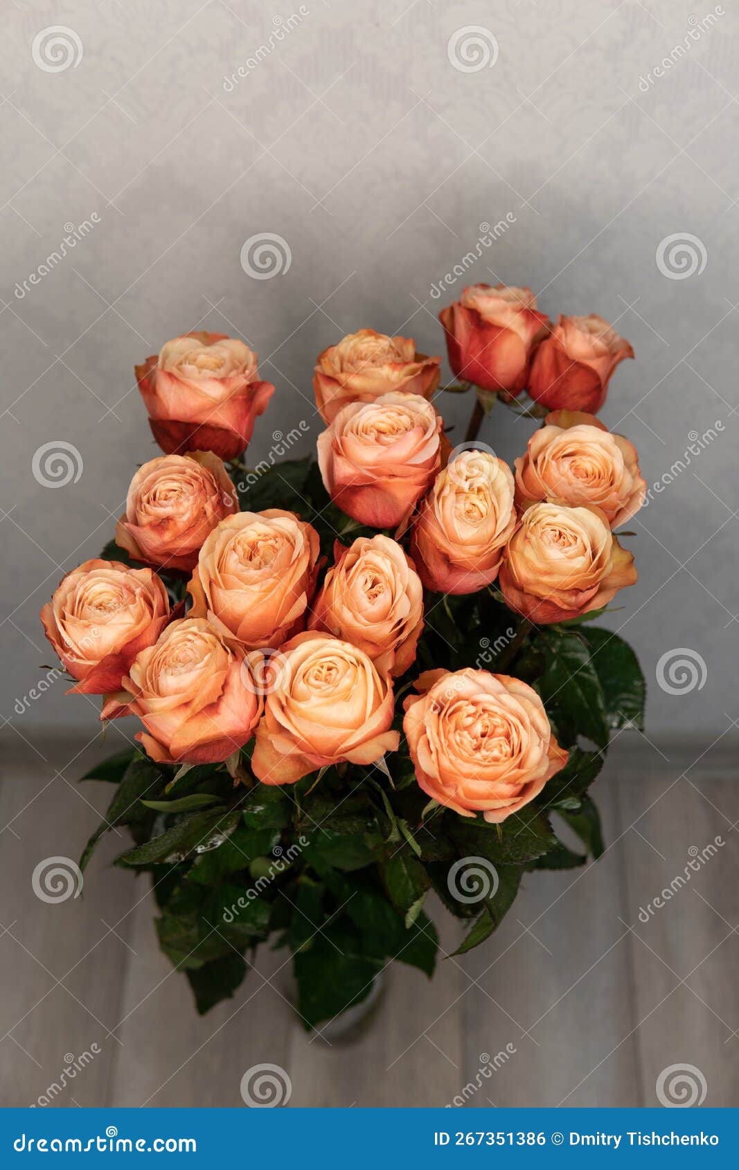 Flowers Wall Background with Amazing Roses Rose Stock Photo - Image of ...