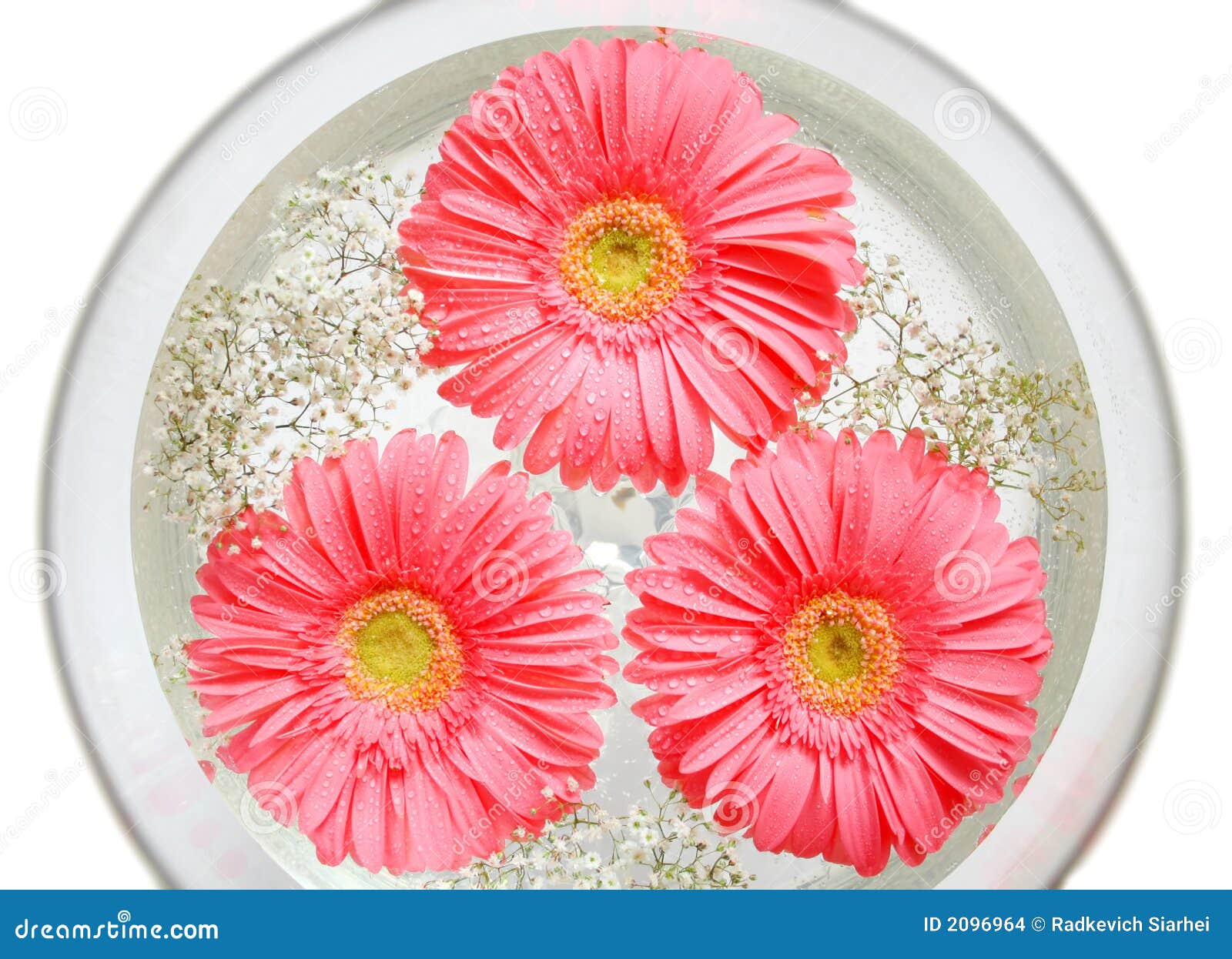 Flowers On Water Picture. Image: 2096964