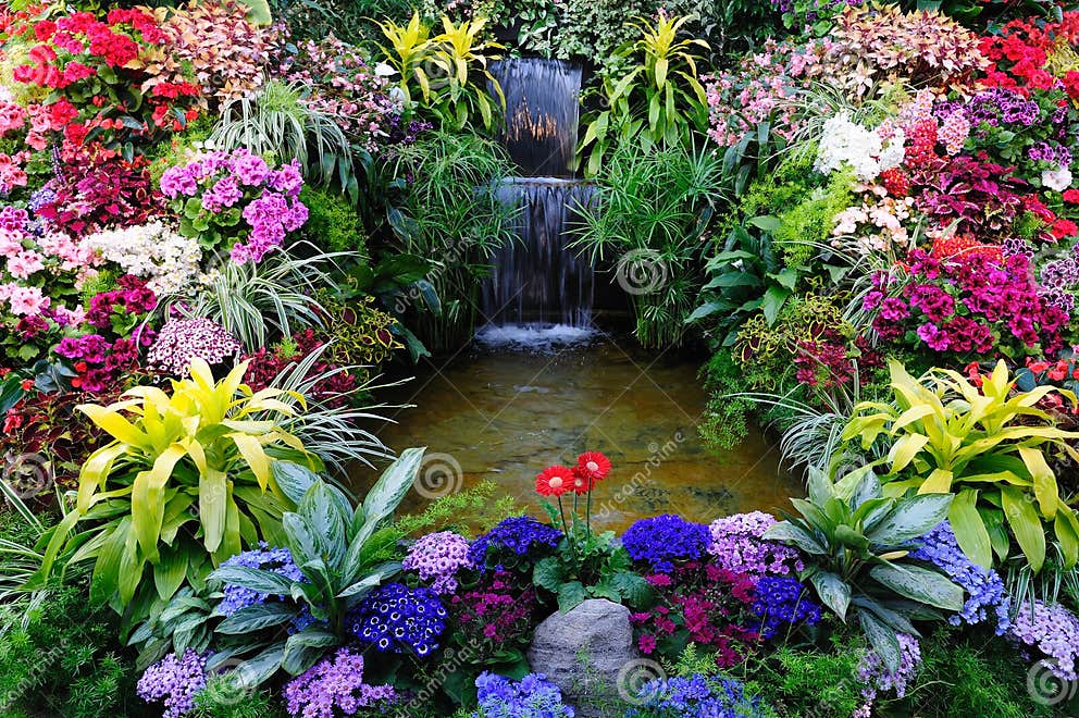 Flowers and waterfall stock photo. Image of beautiful - 12516036