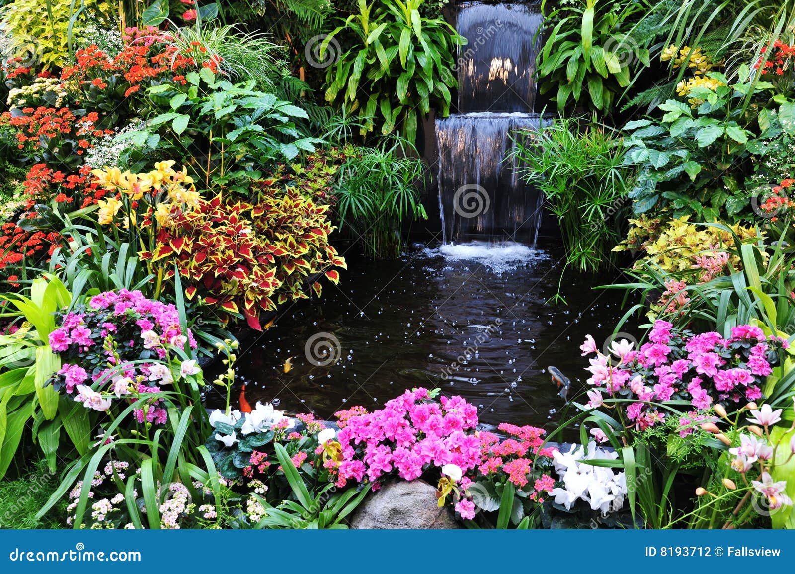 Flowers and waterfall stock photo. Image of gardening - 8193712