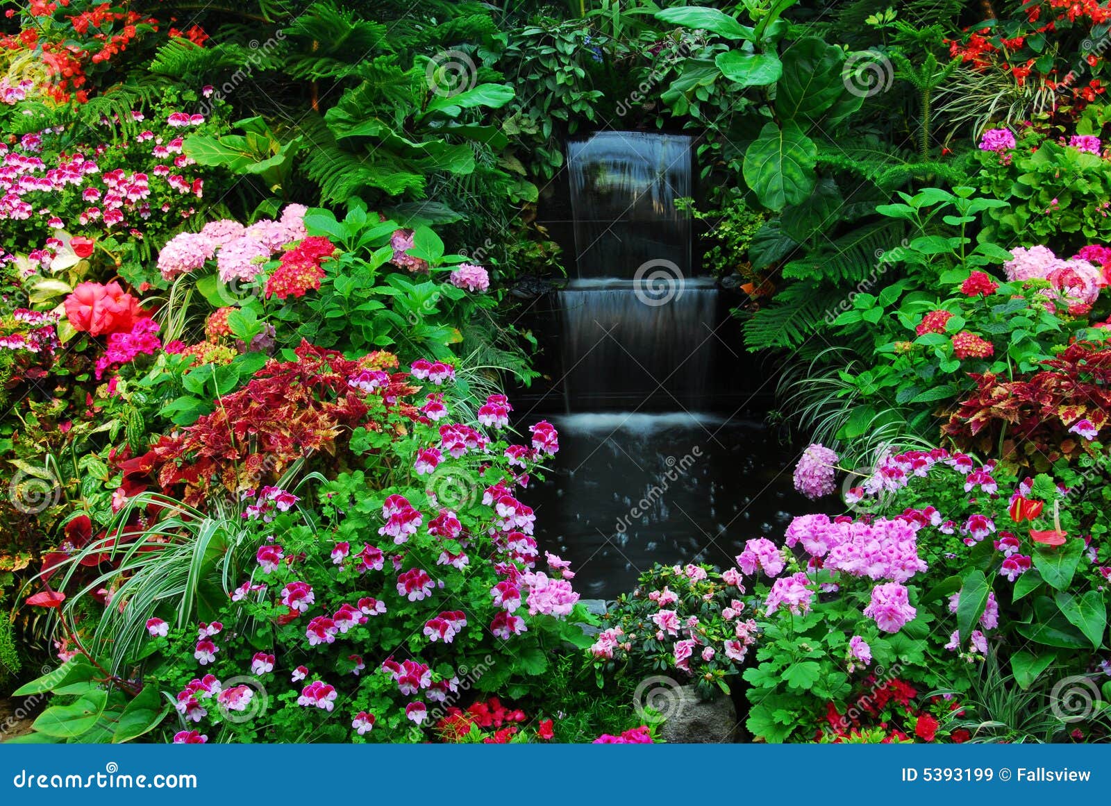 Flowers, Waterfall in Garden Stock Image - Image of gardening, florid ...