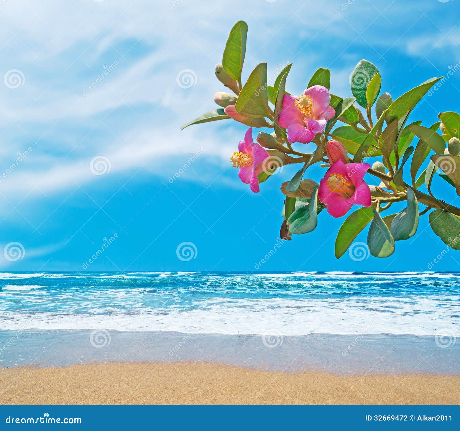 Flowers and waves stock photo. Image of landscape, outdoor - 32669472