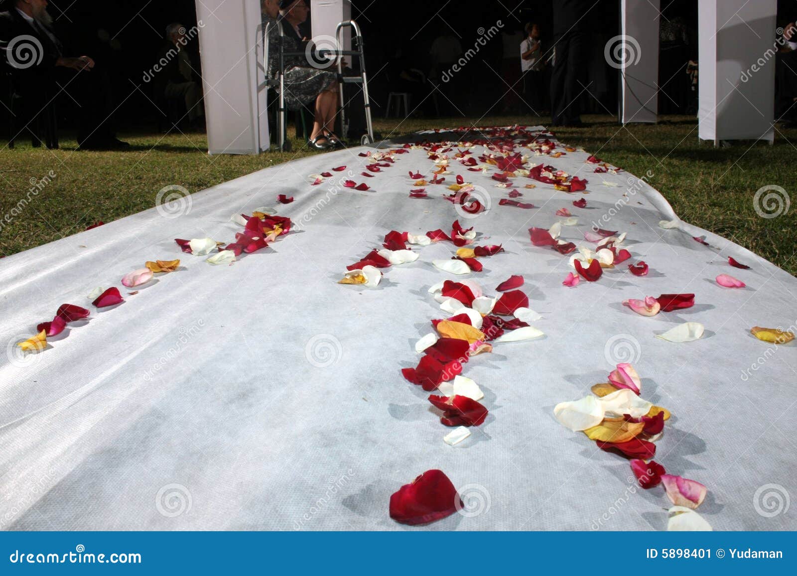Flowers on Wedding Path stock image. Image of path, wedding - 5898401