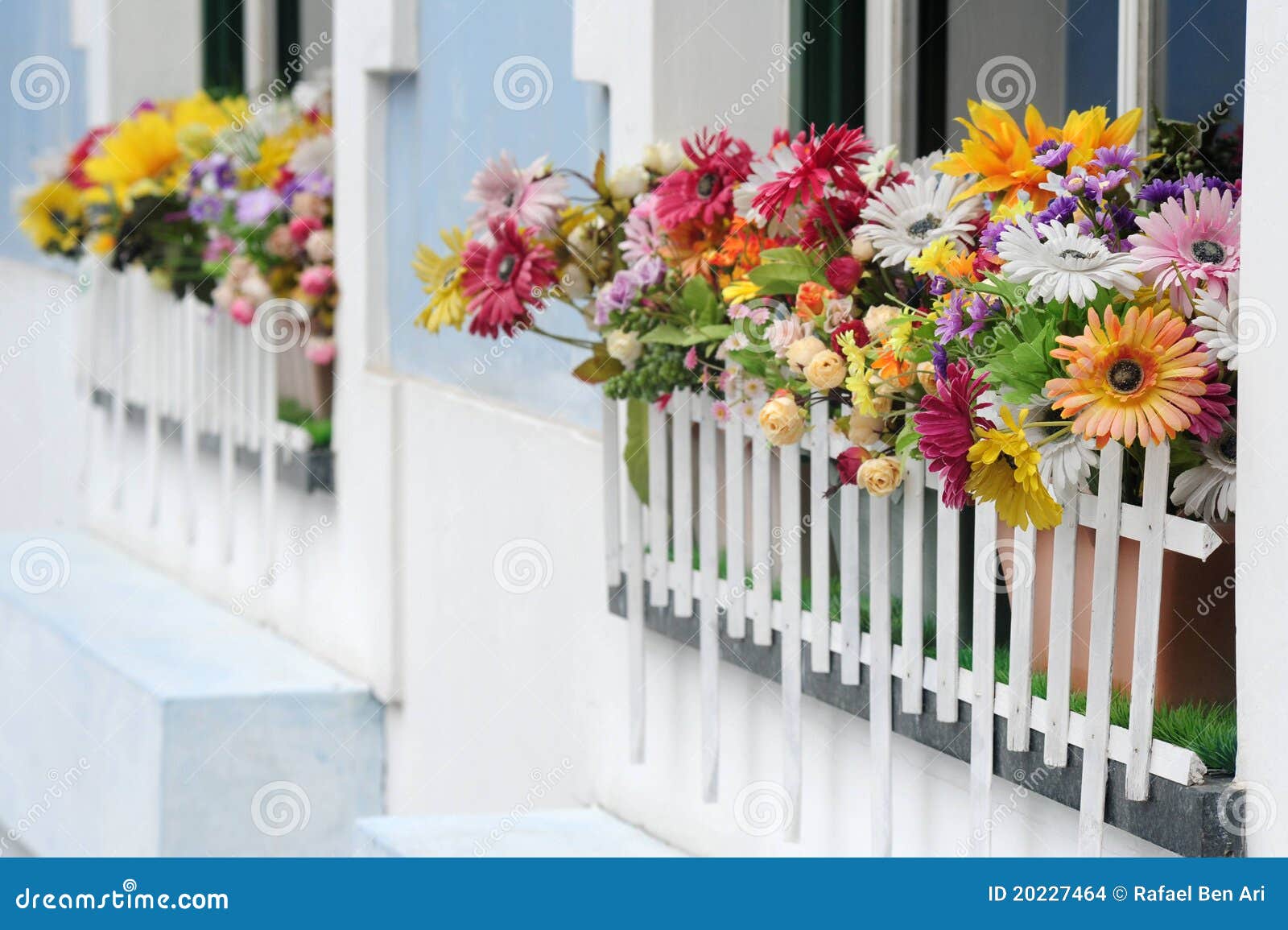Flowers on Window stock photo. Image of exterior, window - 20227464