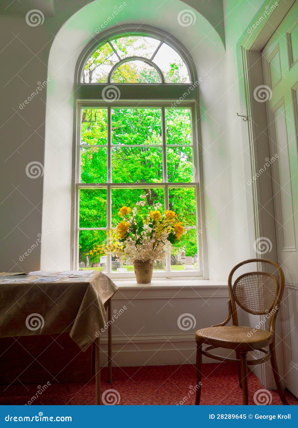 Flowers in window stock image. Image of glass, trees - 28289645