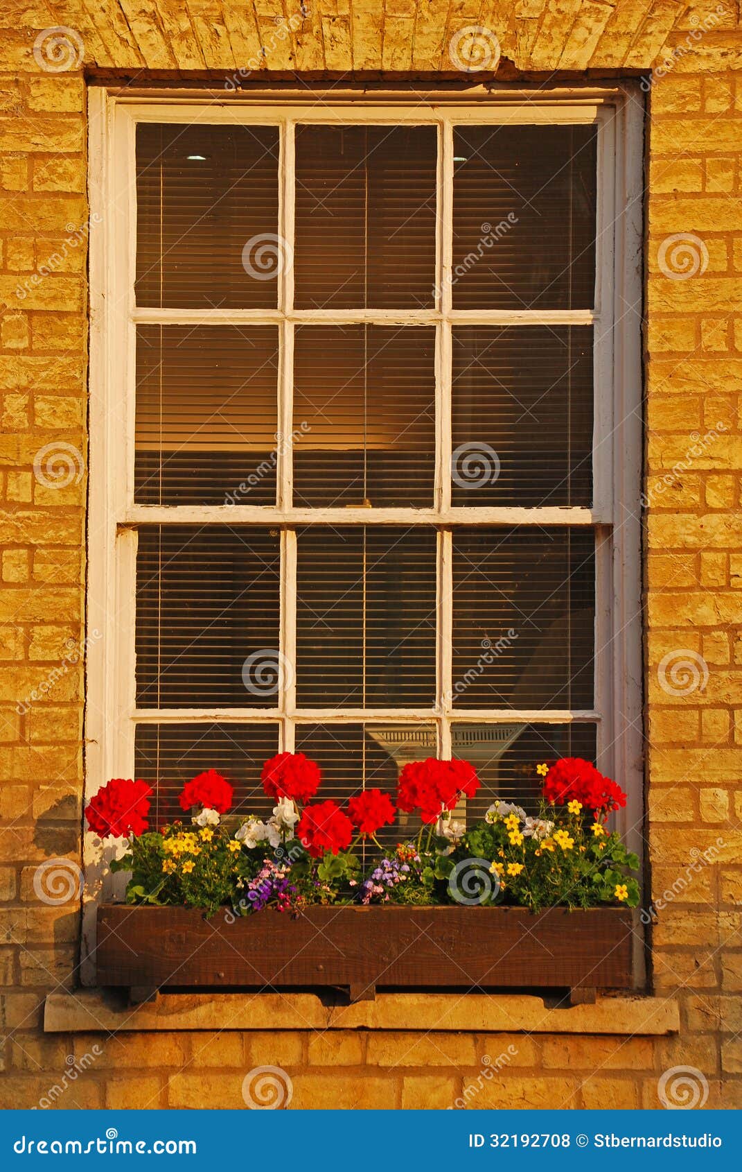 Flowers on Window in the Evening Stock Photo - Image of decoration ...