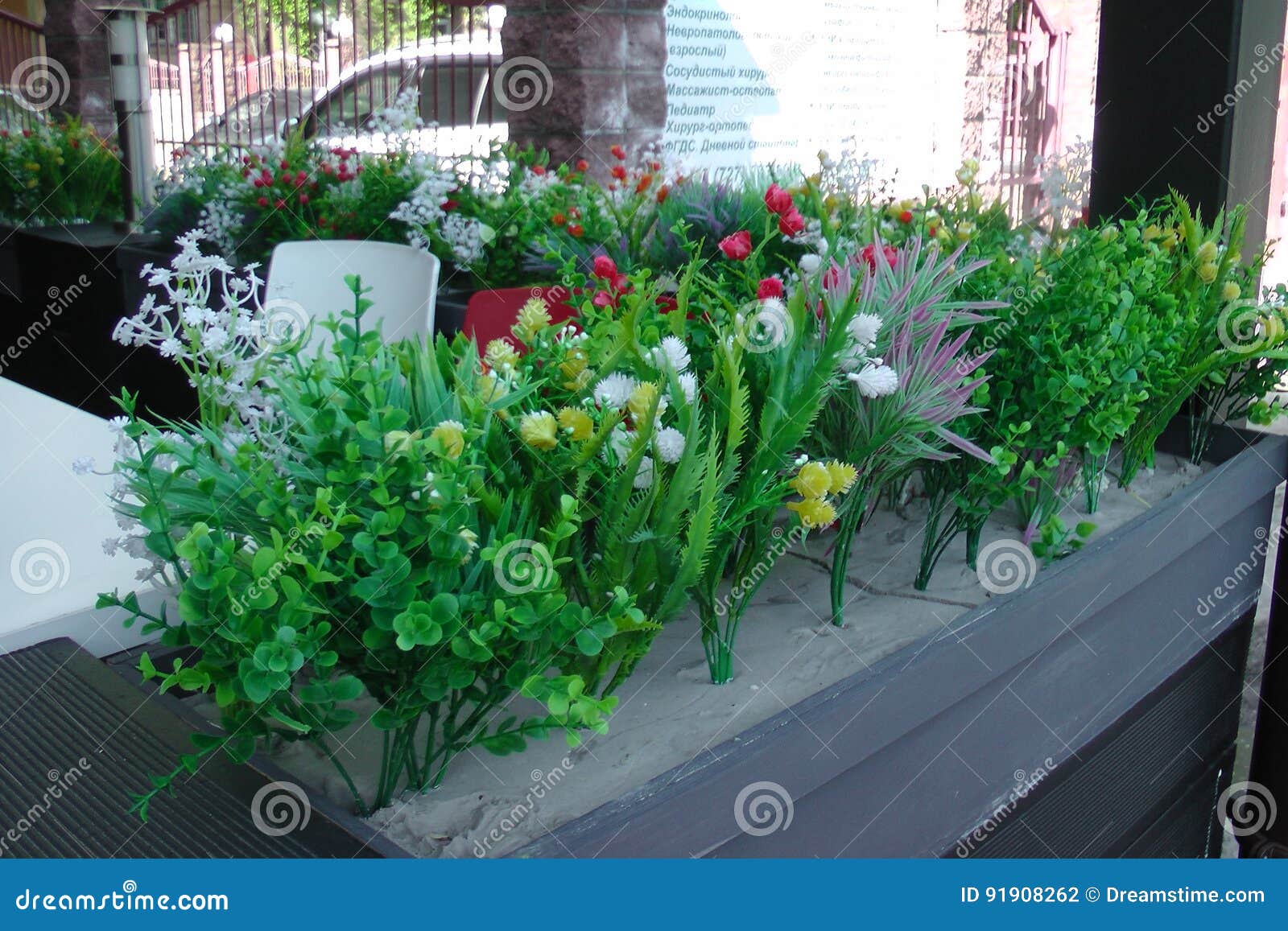 Flowers on the Window, Greens Stock Photo - Image of beautiful ...