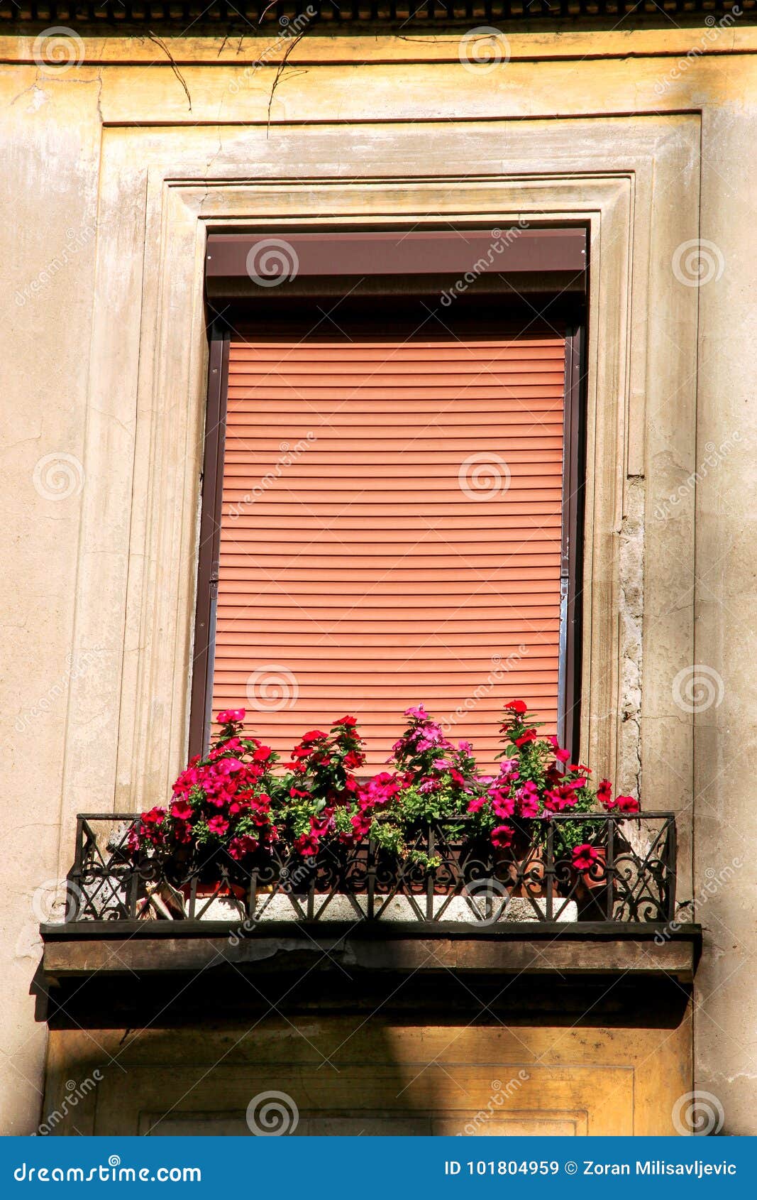 Flowers and Window with Shutter Stock Image - Image of outdoors, frame ...