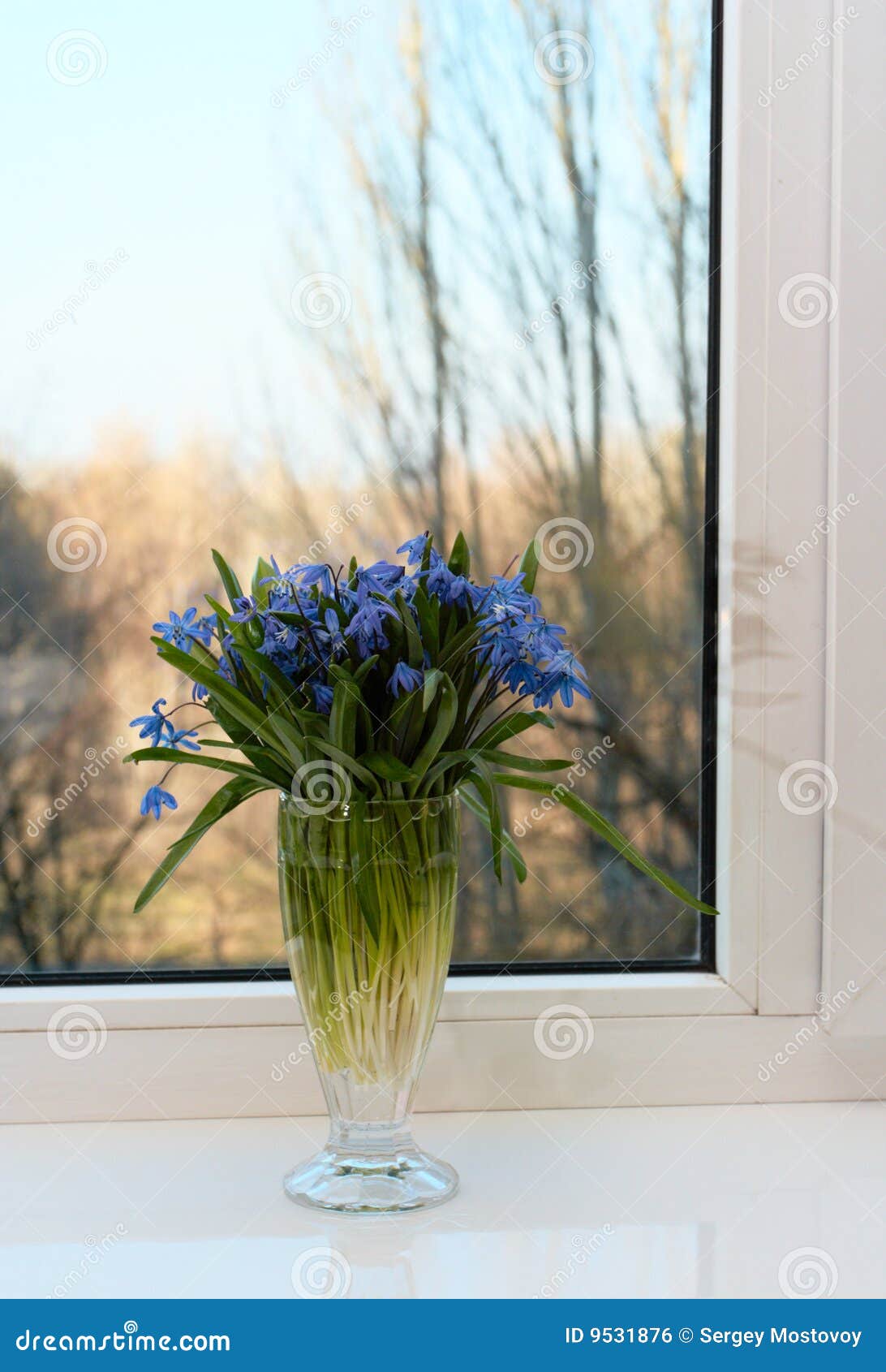 Flowers on a window-sill stock photo. Image of window - 9531876