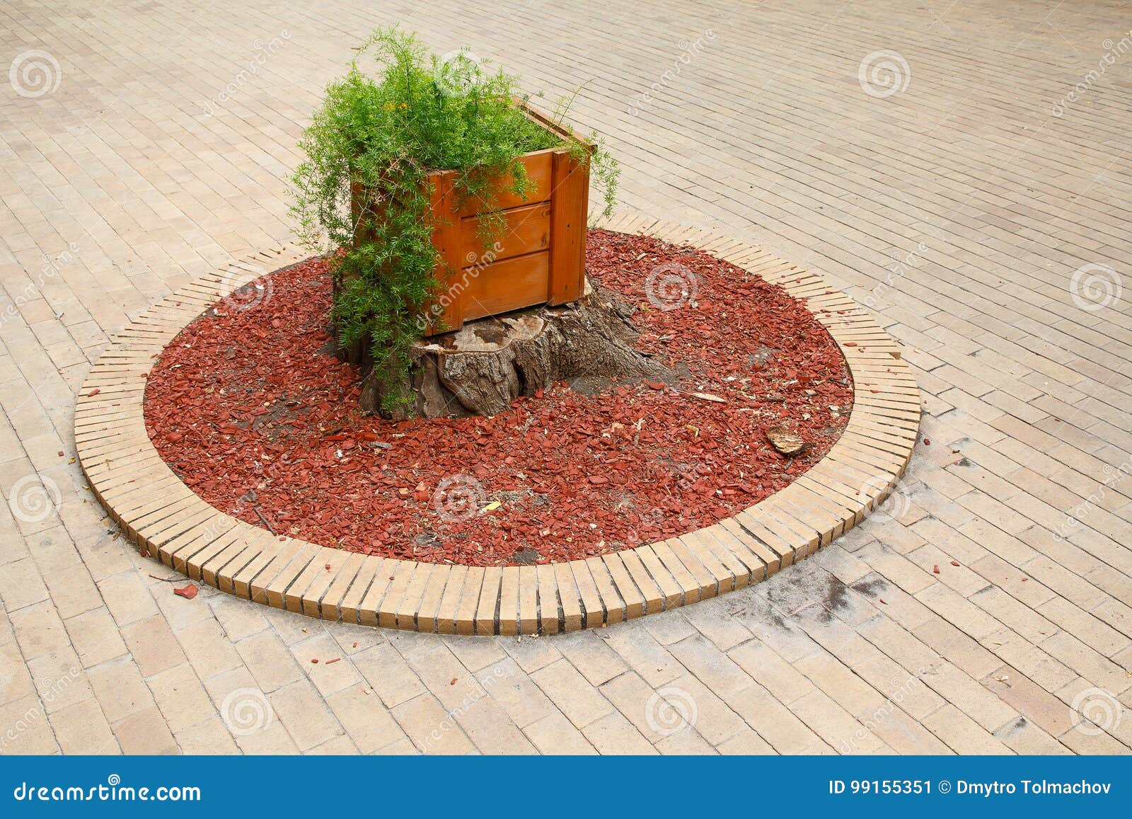 Flowers in a Wooden Box in the Middle of the Pavement Stock Image ...
