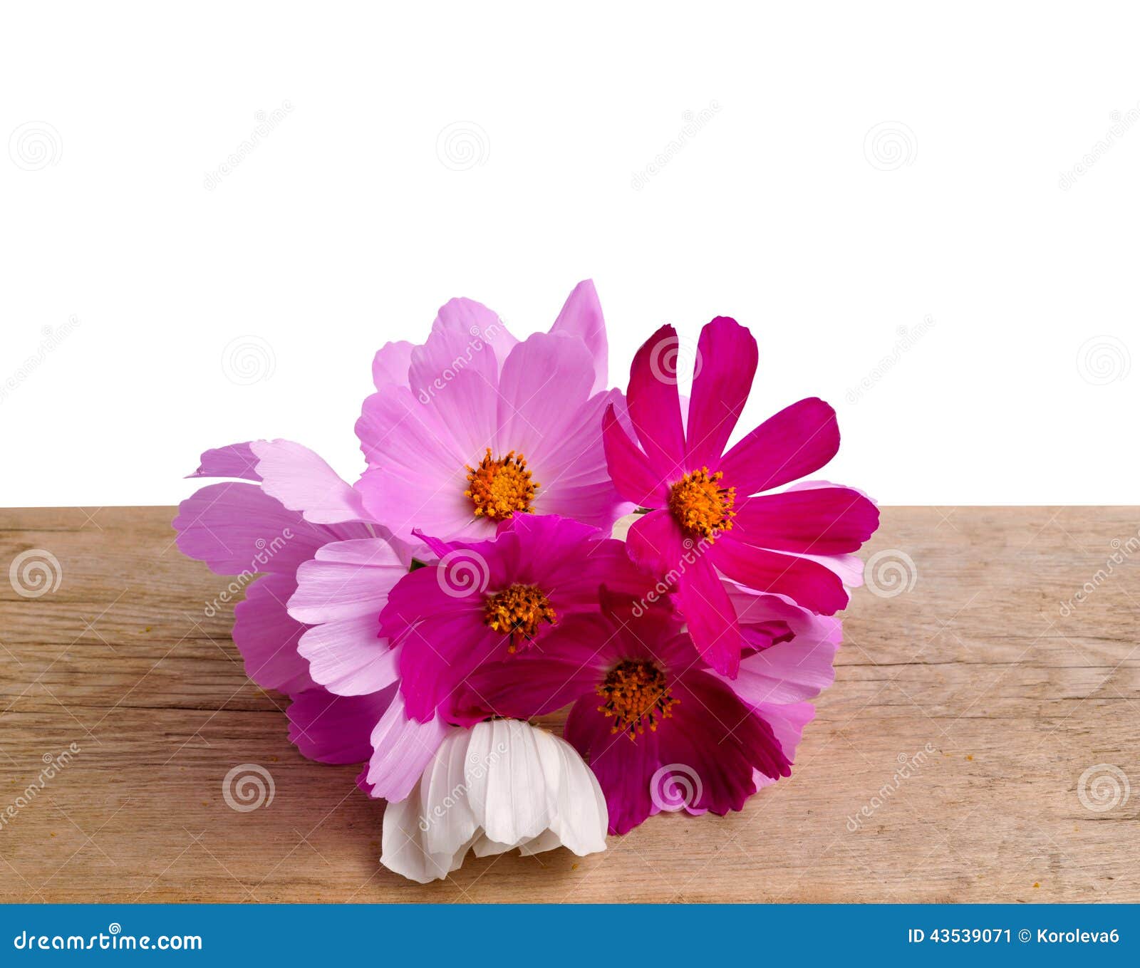 Flowers on a wooden table stock image. Image of plant - 43539071