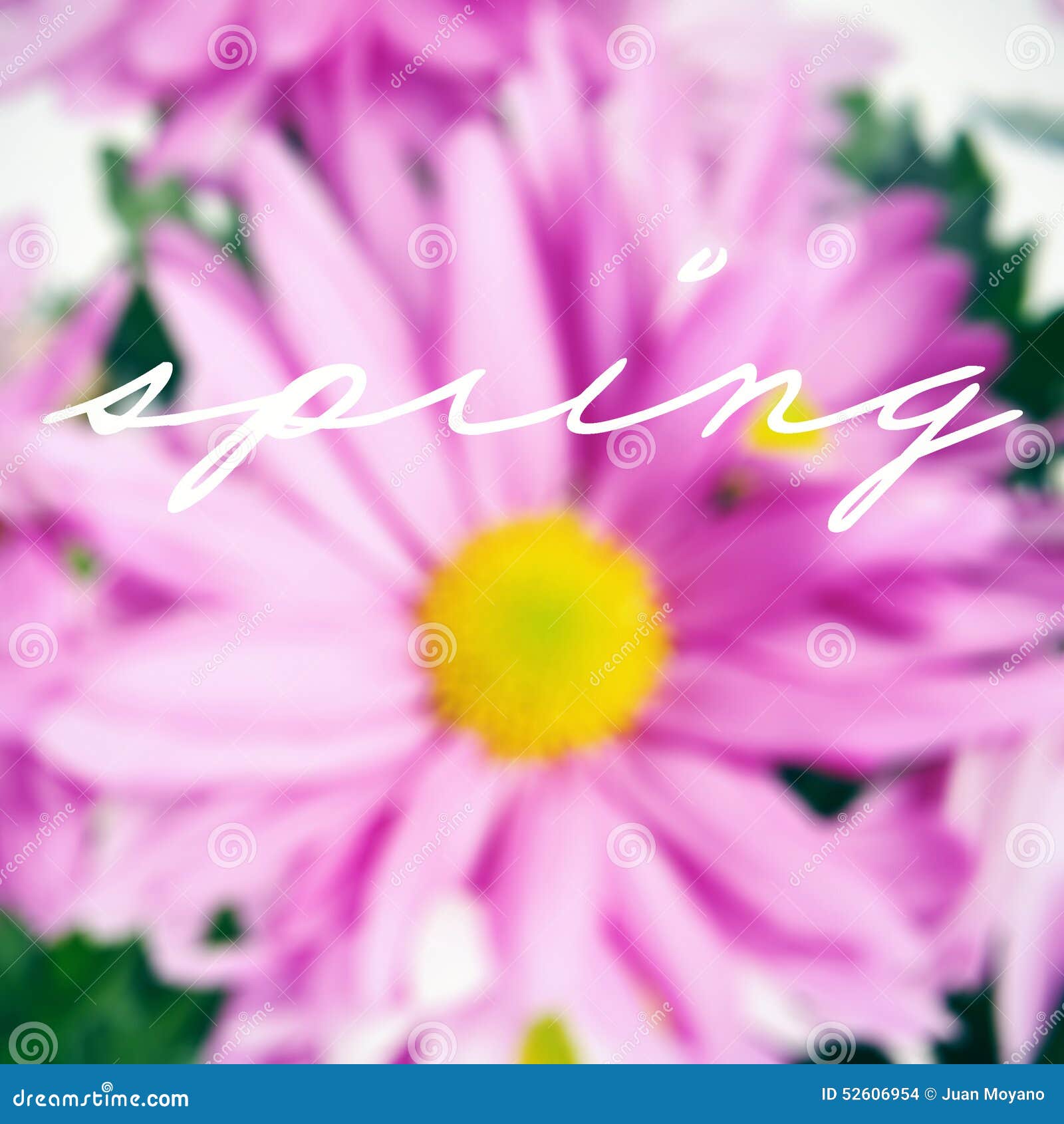 Flowers and the Word Spring Stock Photo - Image of bright, lifestyle ...