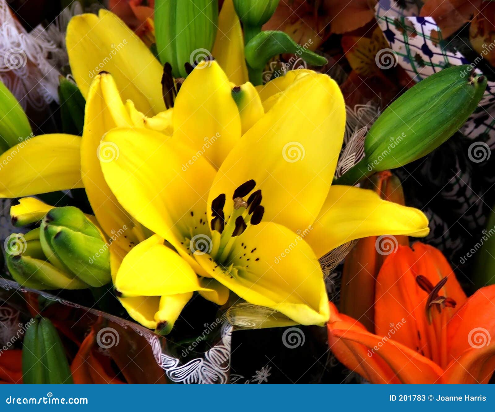 Flowers - Yellow Lillium stock image. Image of ball, wedding - 201783