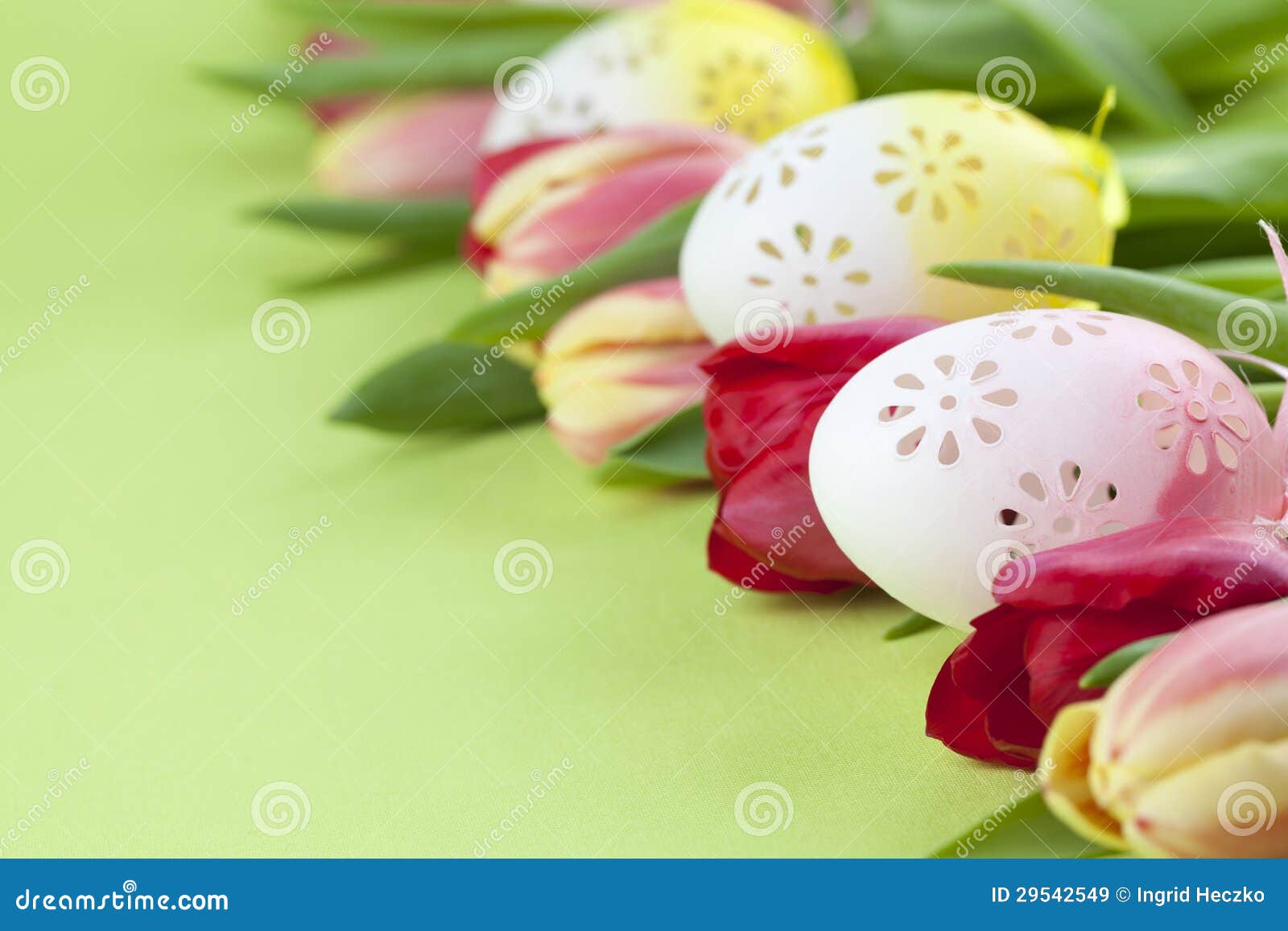 Flowery Easter Eggs and Tulips Border Stock Image - Image of nature ...