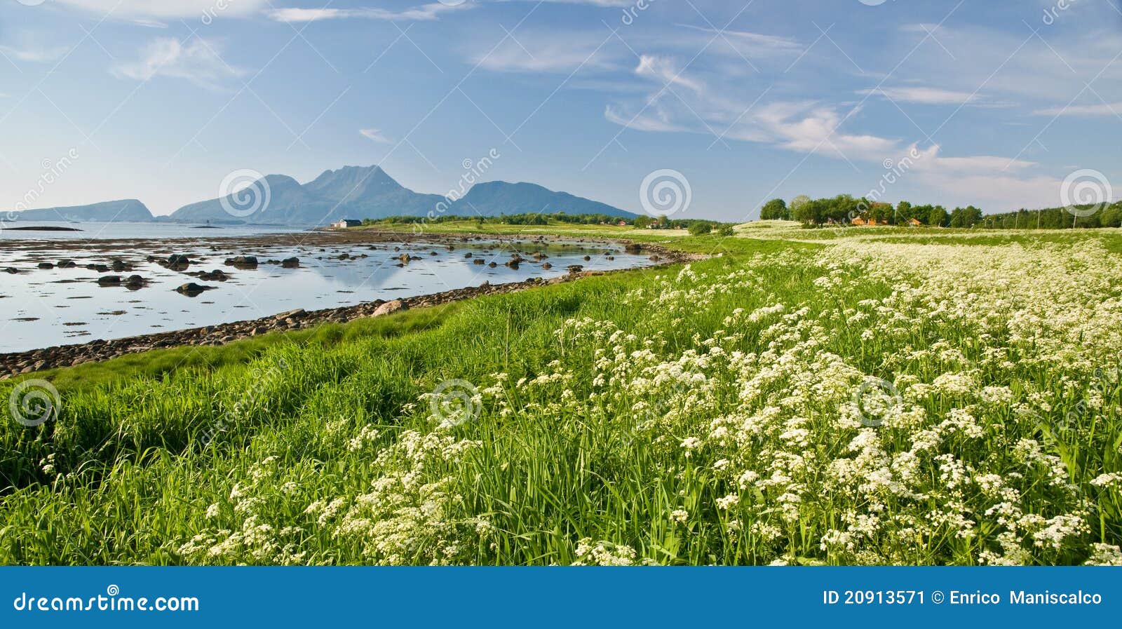 Flowery Flied stock image. Image of field, lightness - 20913571