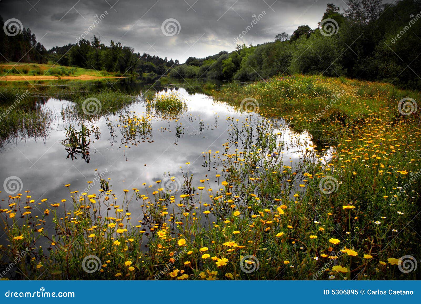 Flowery Lake stock image. Image of outdoors, countryside - 5306895