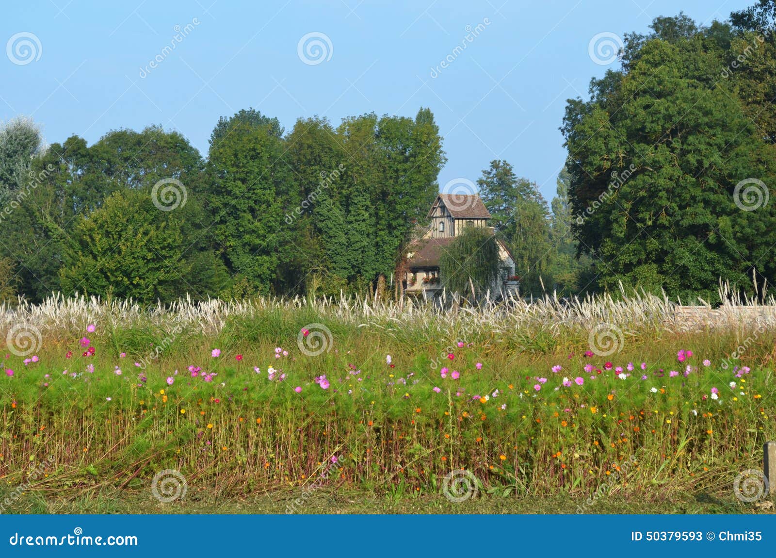 Flowery landscape stock image. Image of normandy, calm - 50379593